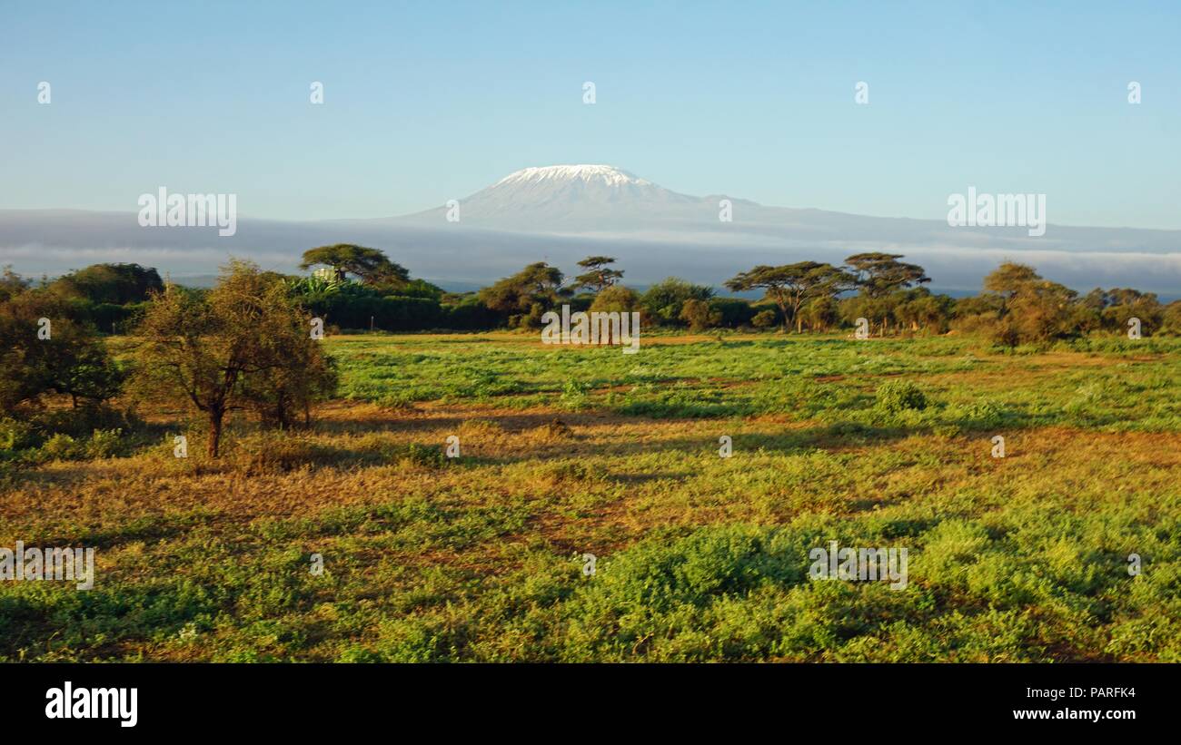 landscape in kenyan national park with mount kilimanjaro Stock Photo ...