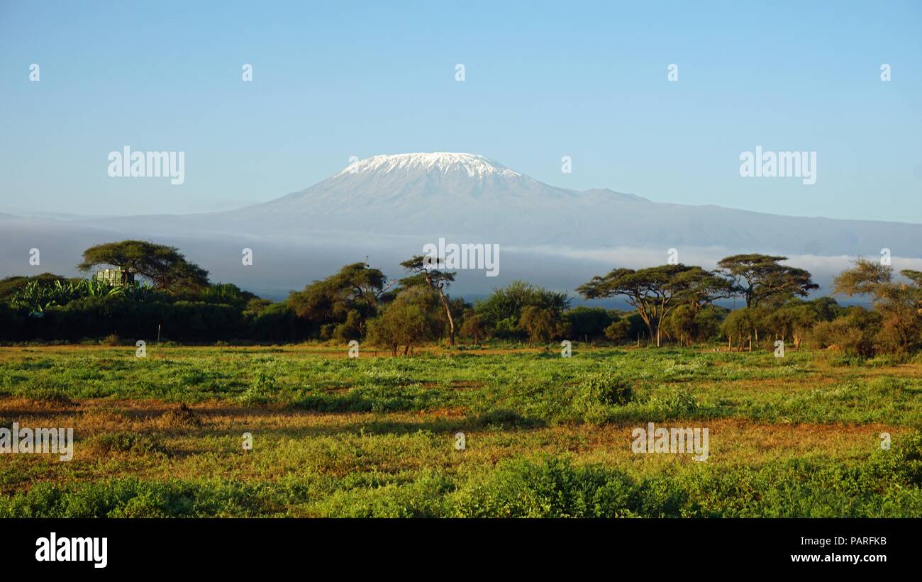 landscape in kenyan national park with mount kilimanjaro Stock Photo ...