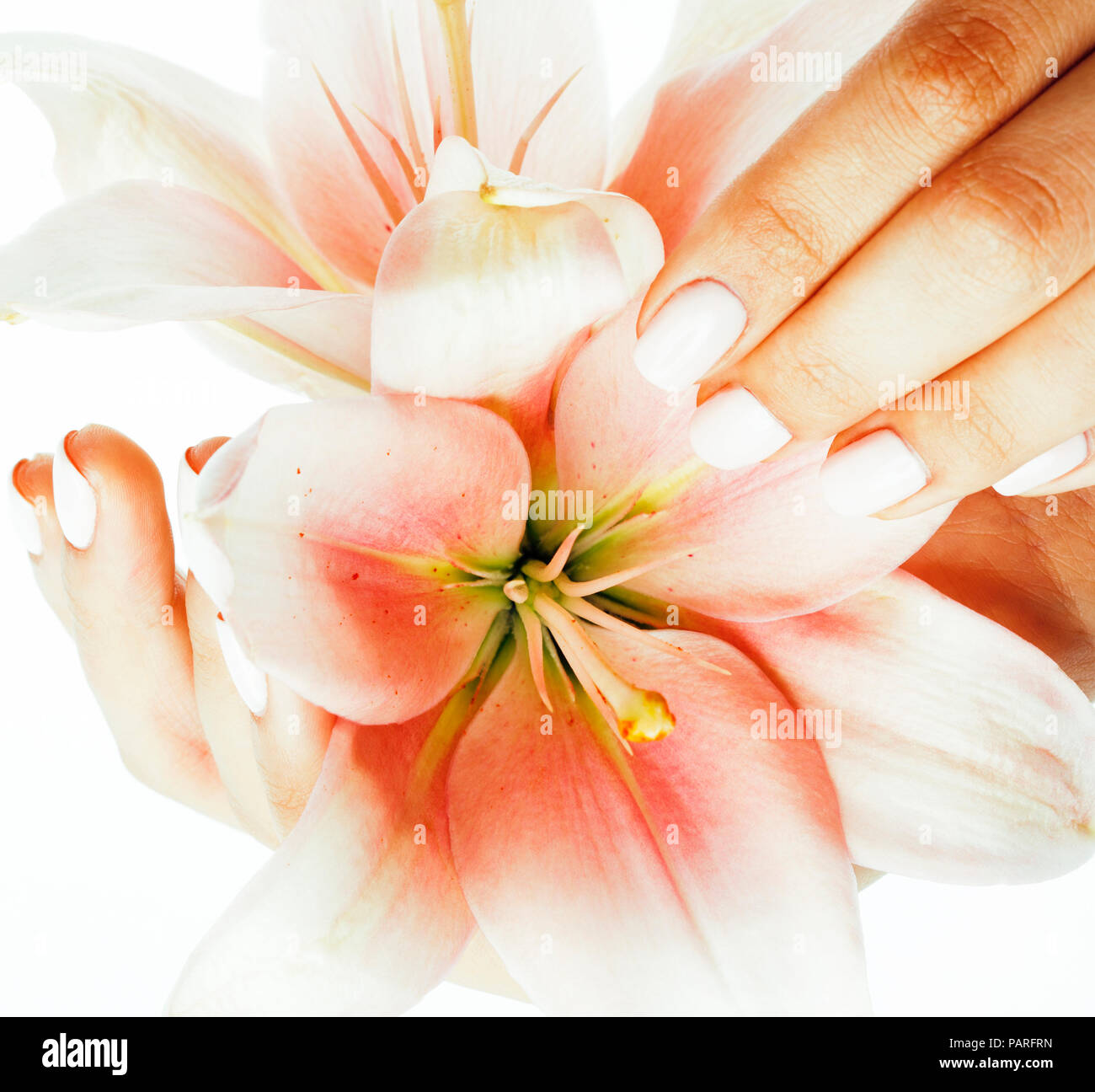 beauty delicate hands with manicure holding flower lily close up ...