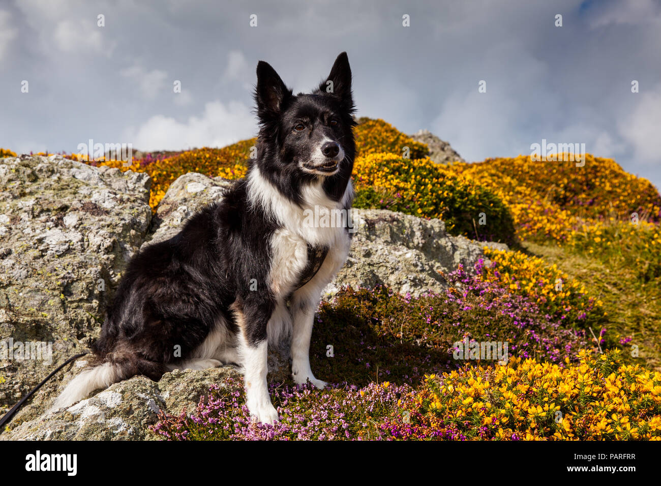 Braich y pwll hi-res stock photography and images - Alamy