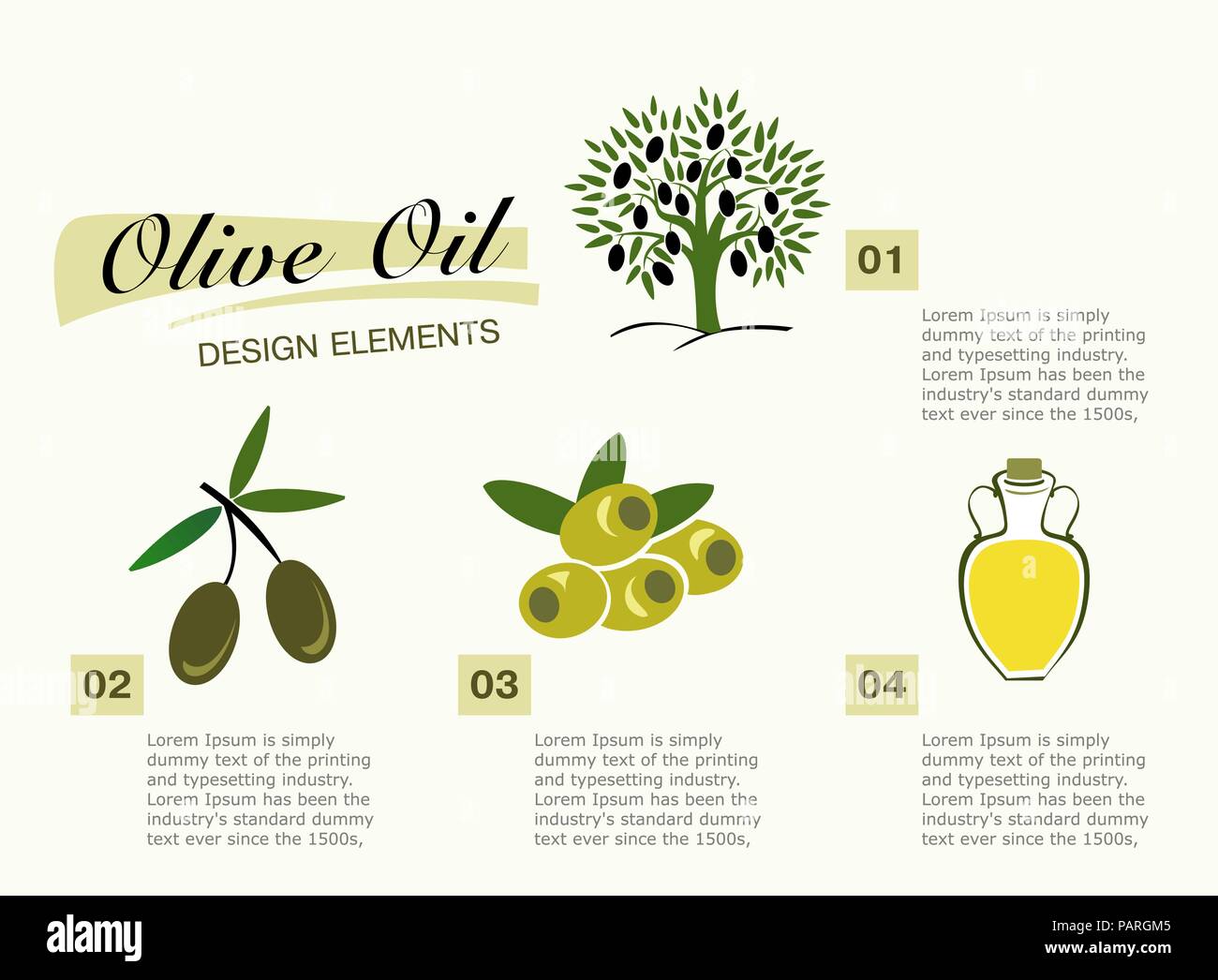 Infographic get olive oil. Pictures for four steps, the olive tr Stock ...