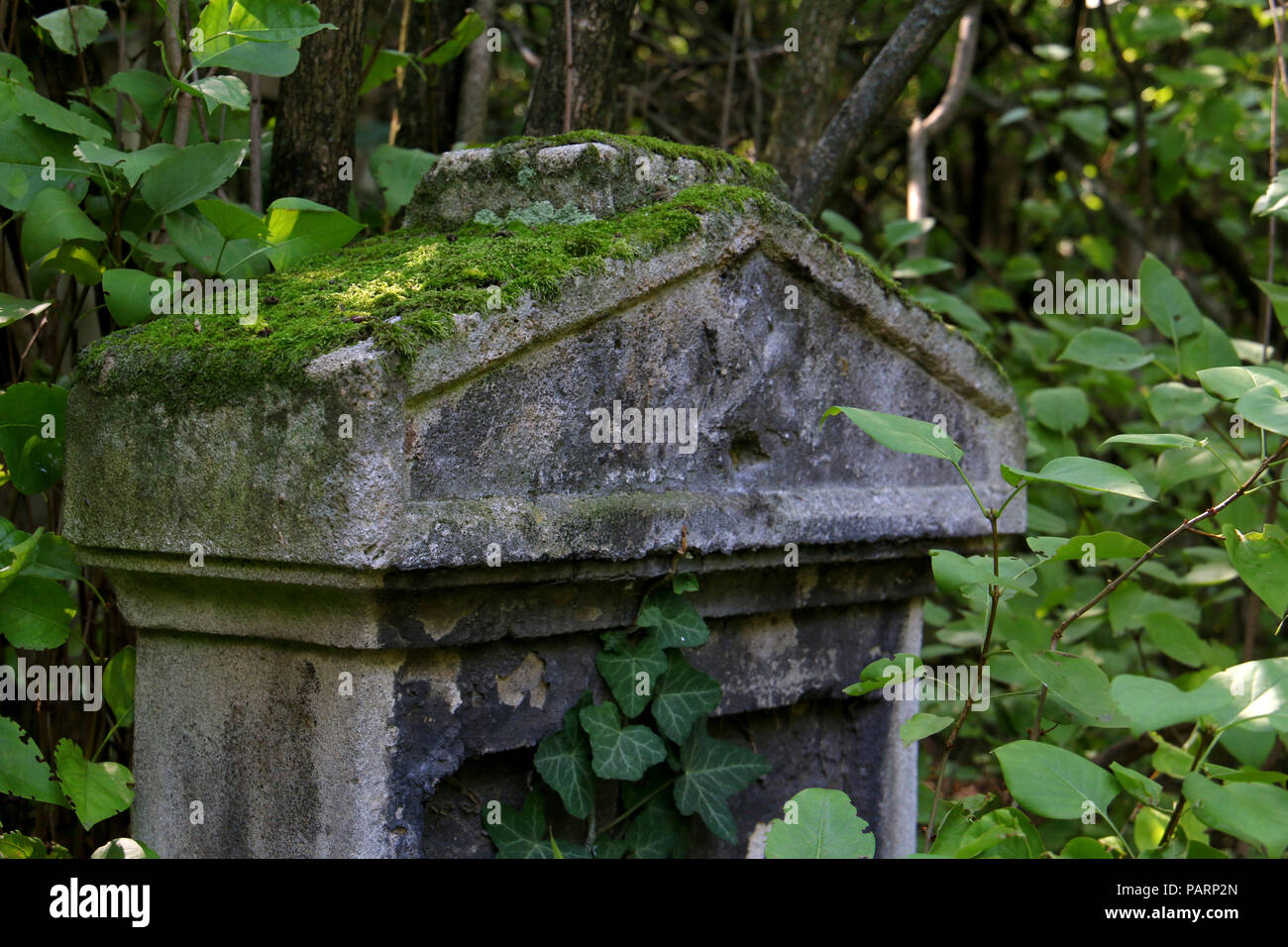 Gravestone moss hi-res stock photography and images - Alamy