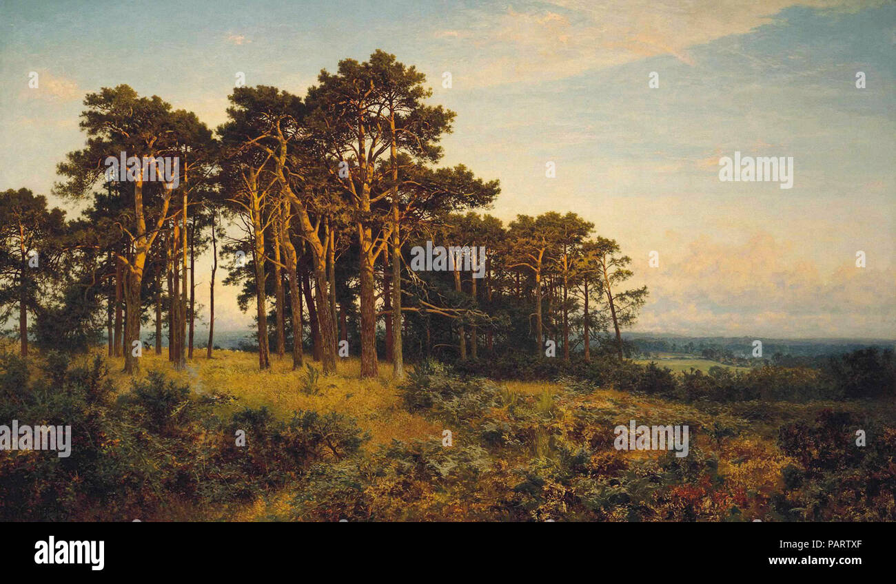 Leader Benjamin Williams - Evening Glow Stock Photo - Alamy