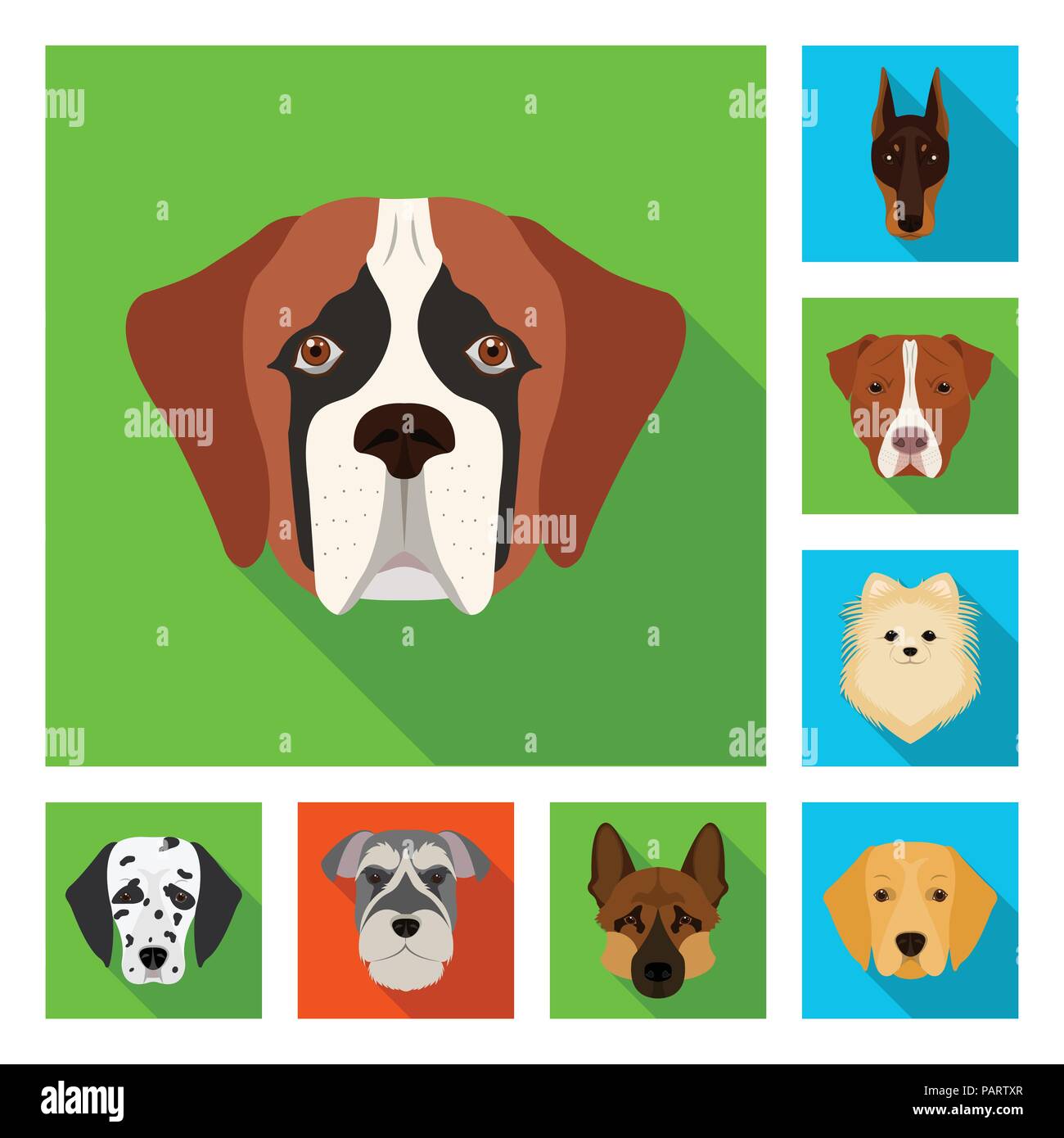 Dog breeds flat icons in set collection for design.Muzzle of a dog ...