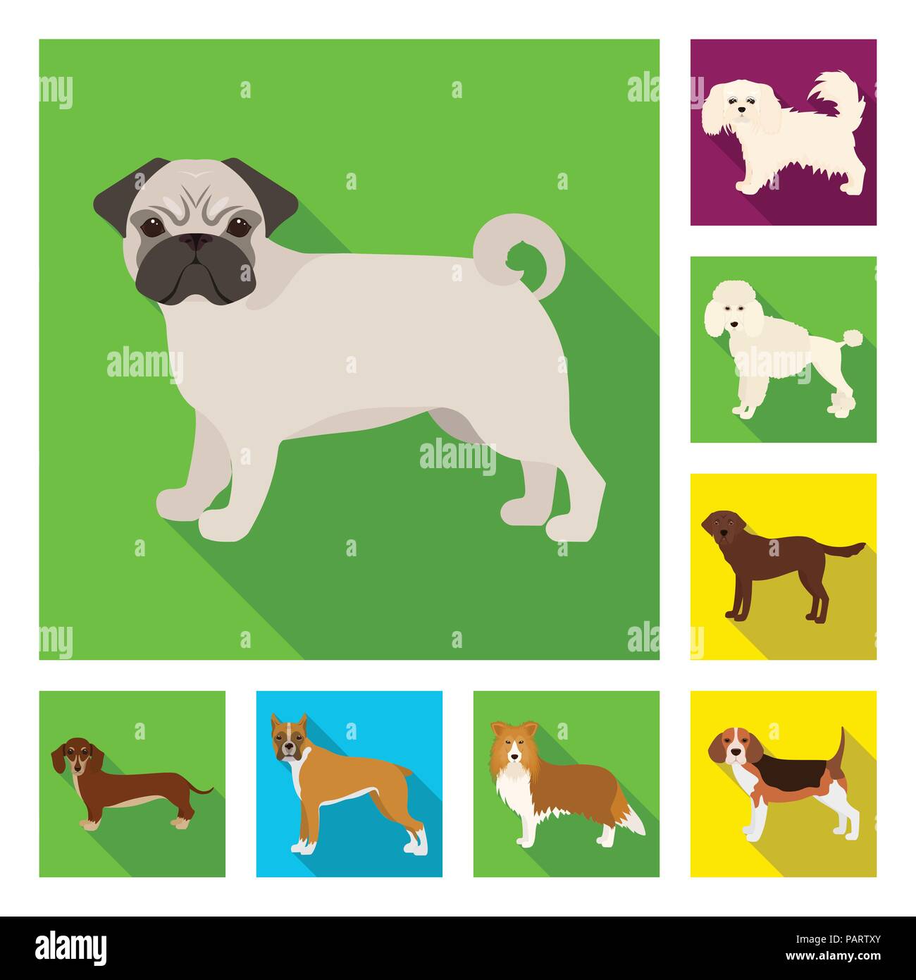 Dog breeds flat icons in set collection for design.Dog pet vector ...