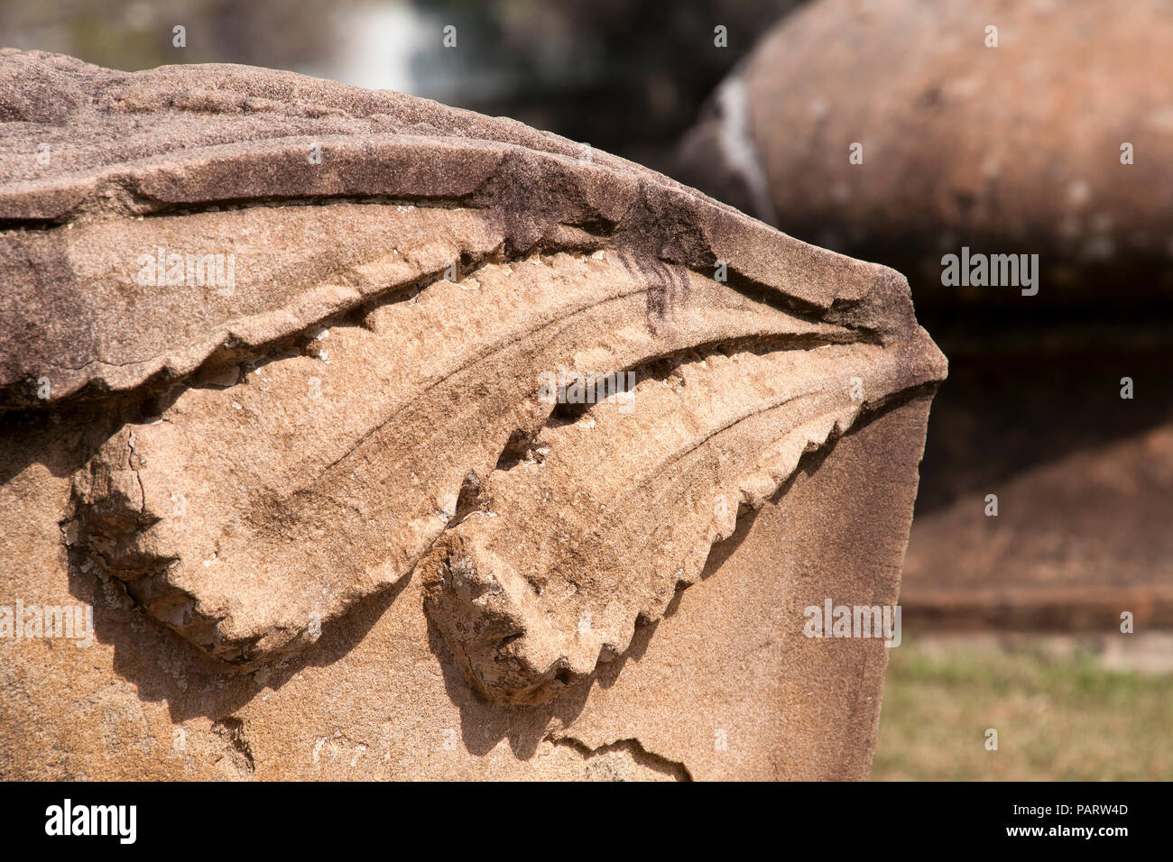 Sydney sandstone close hi-res stock photography and images - Alamy