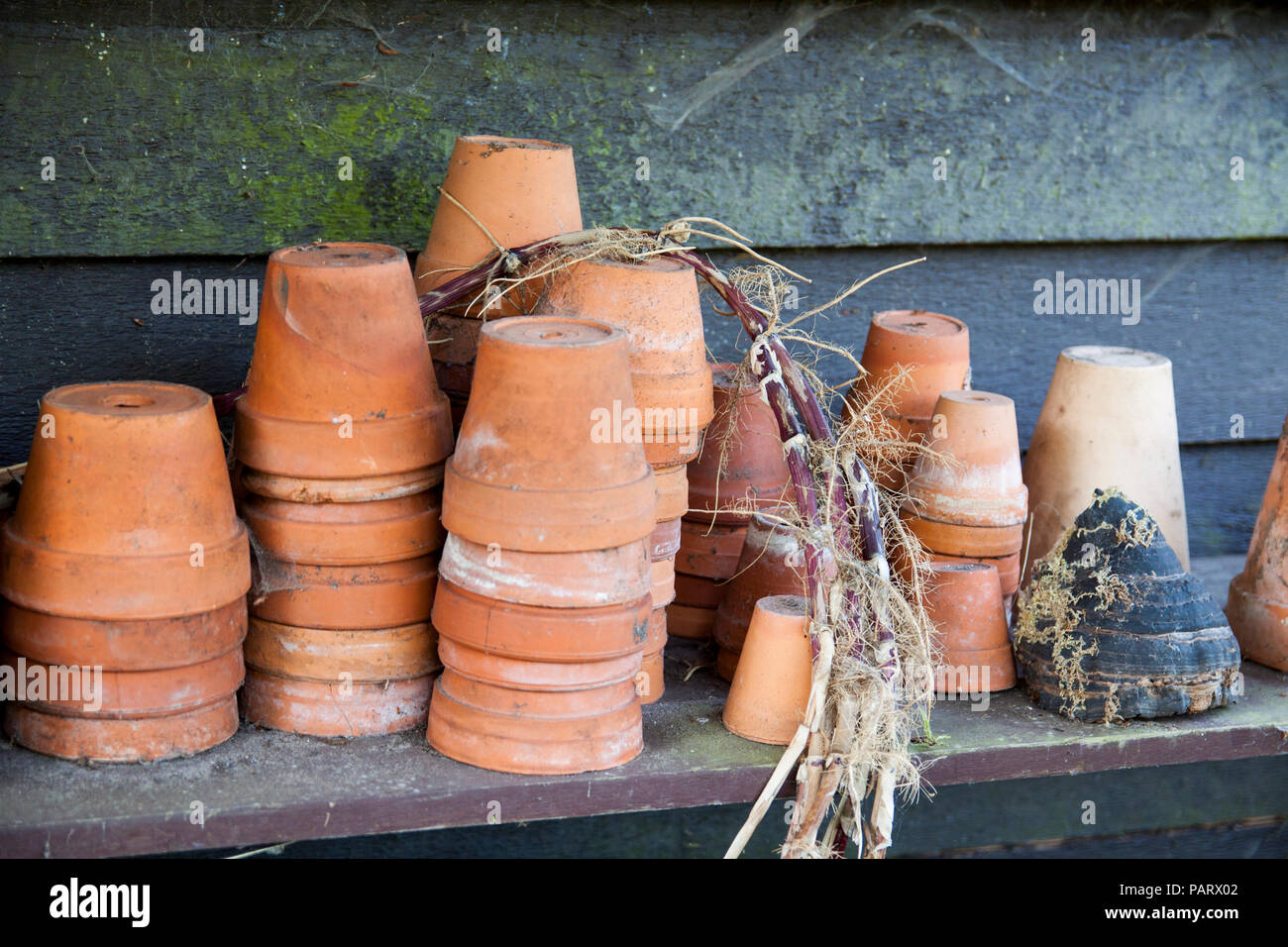 Old terra cotta pots on a wooden background Stock Photo - Alamy