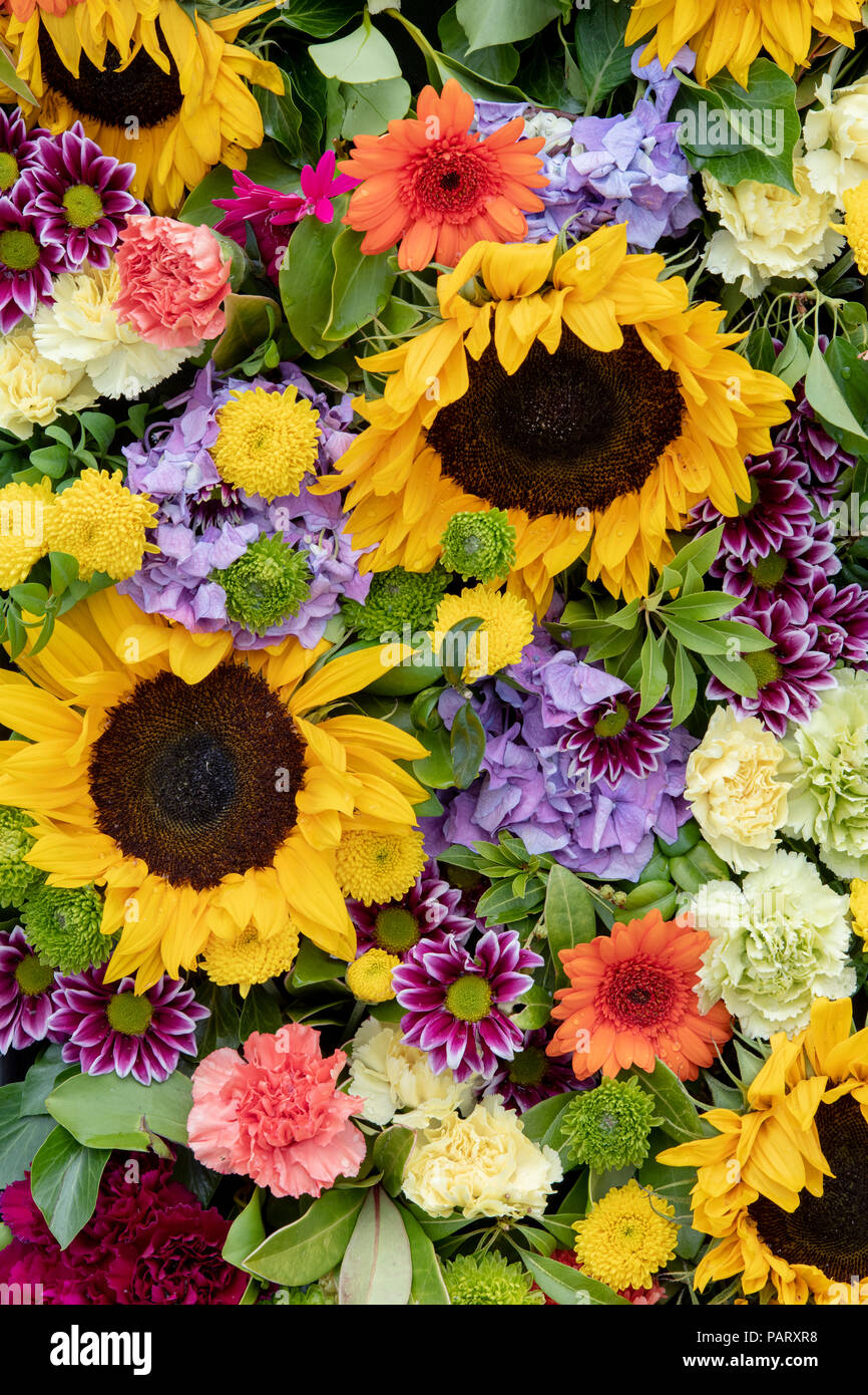 Cut flower display at the RHS Tatton park flower show 2018. Cheshire ...