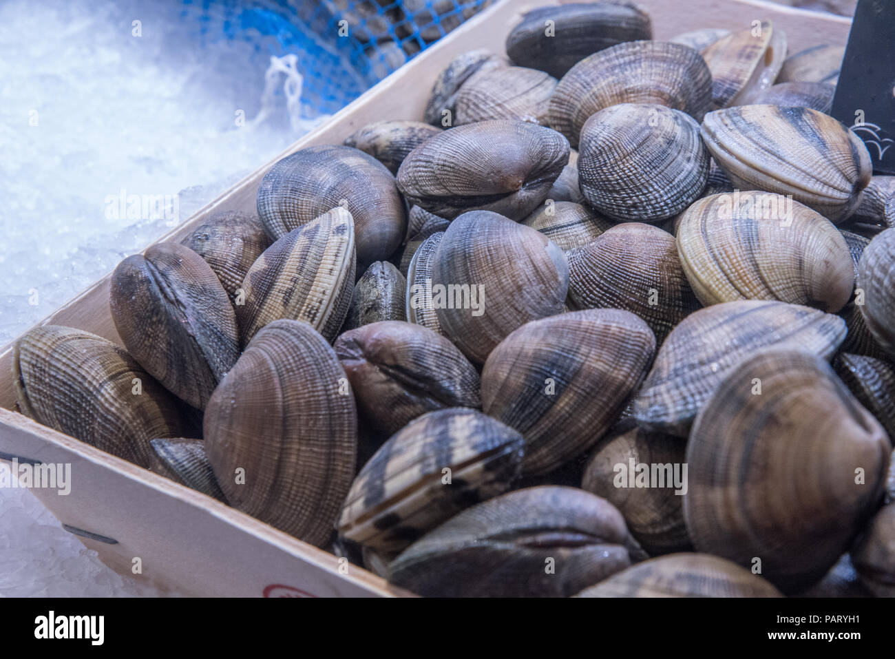 Clams on display hi-res stock photography and images - Alamy
