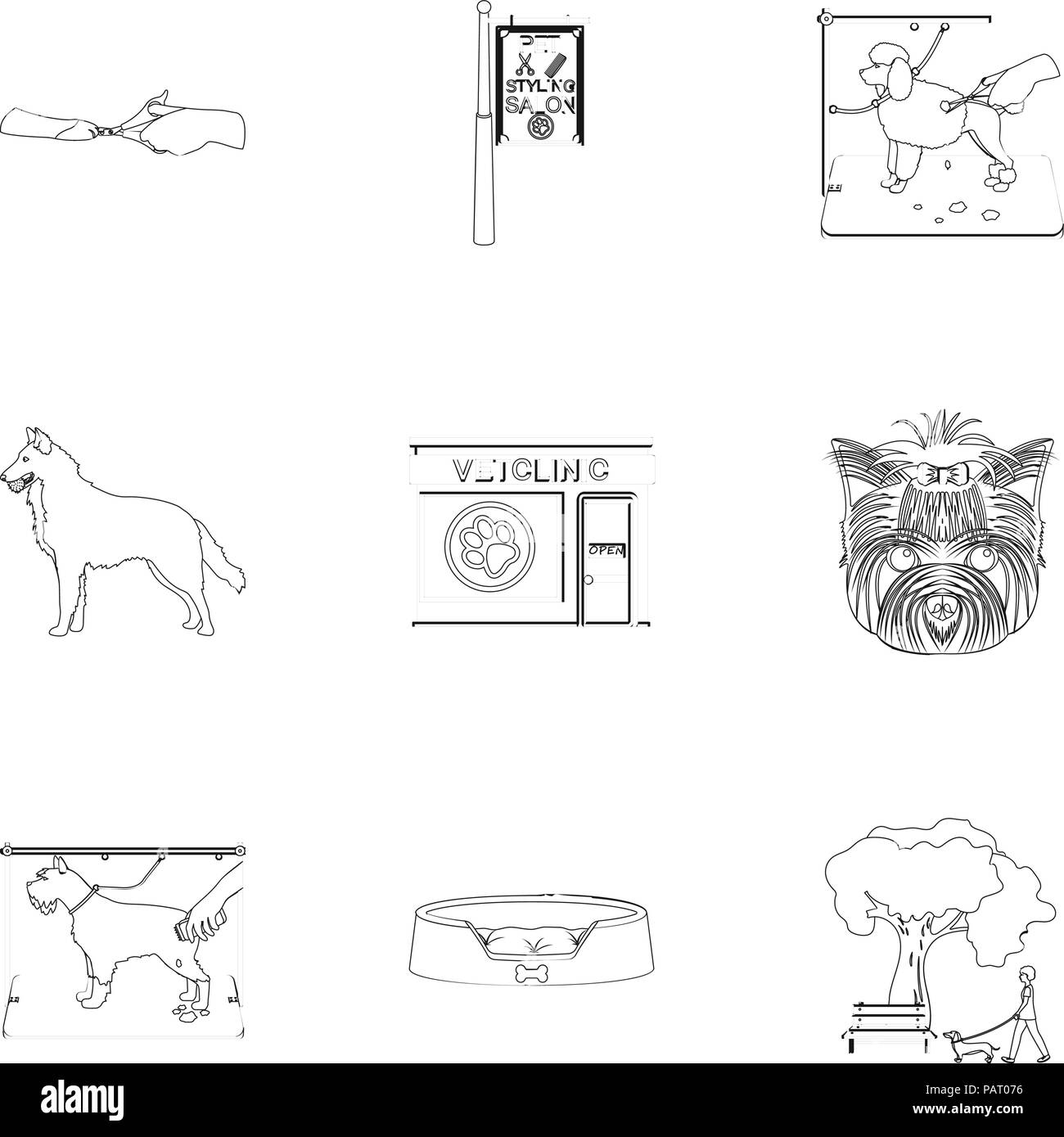 Dog poodle with a haircut for a walk Stock Vector Images - Alamy