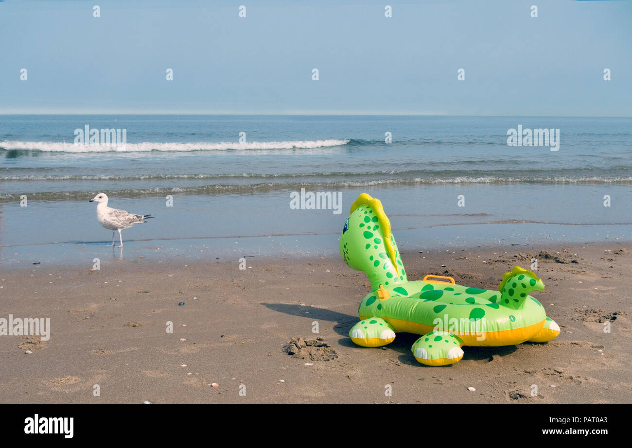 Inflatable floating animal toy and real seagull at the beach. No people ...