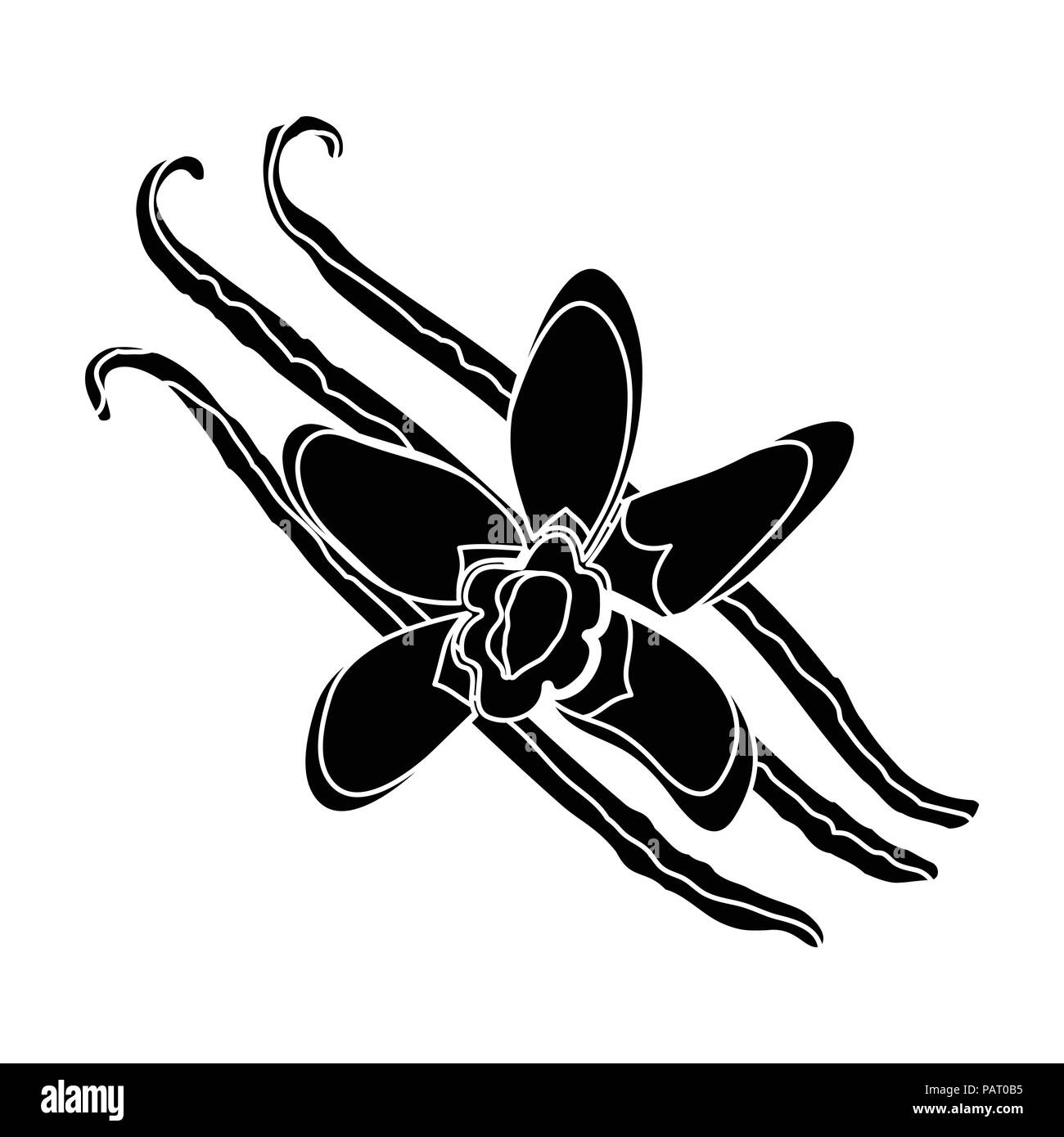 Vanilla icon in black style isolated on white background. Herb an ...