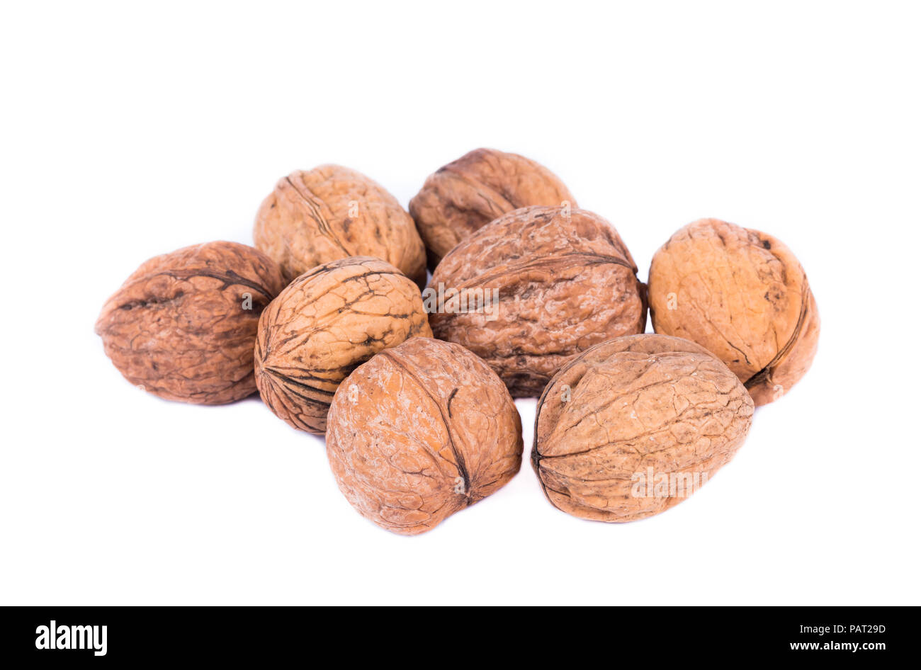 group of seasonal autumn nuts isolated on white background Stock Photo ...