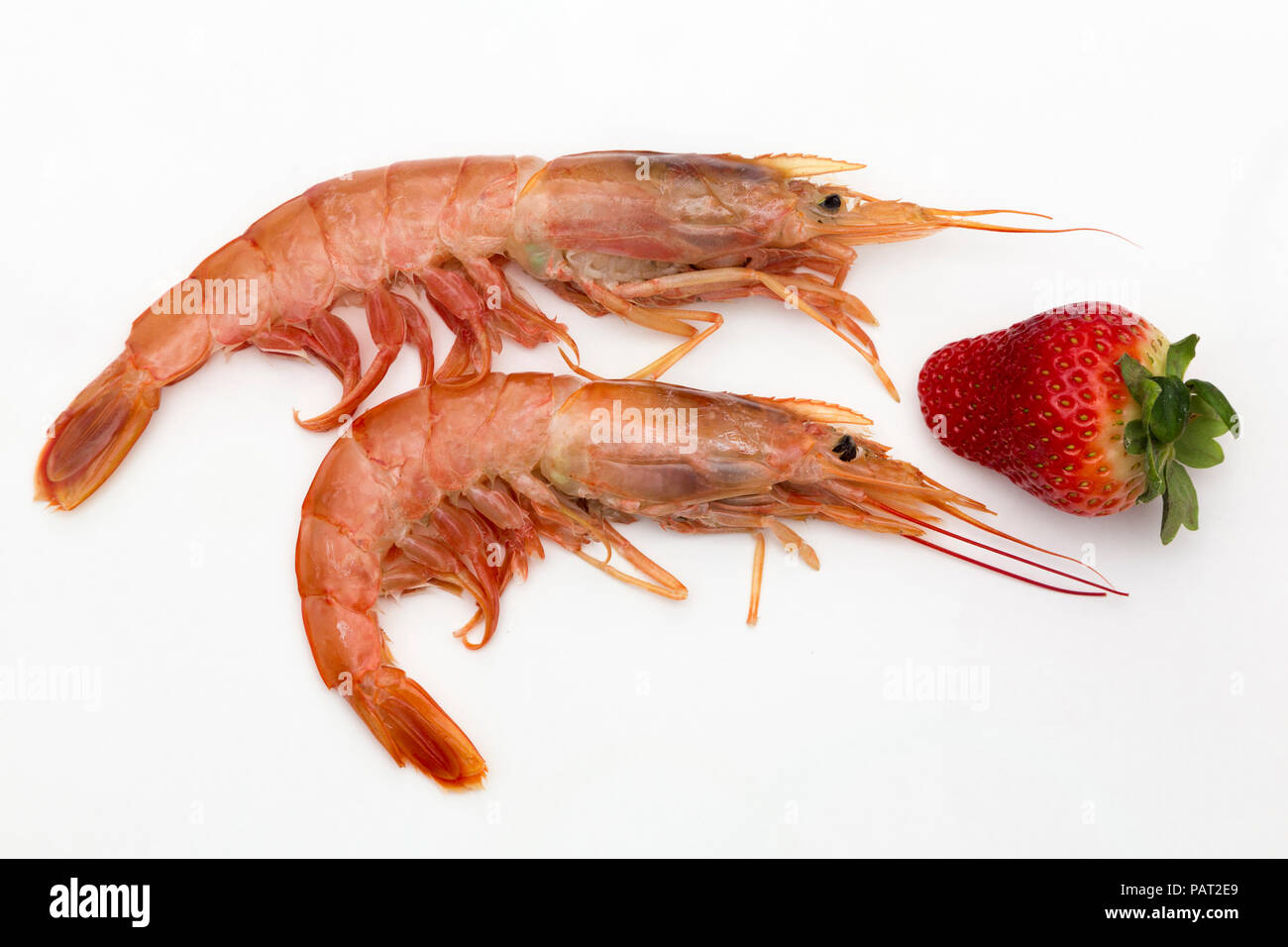 Two prawns hi-res stock photography and images - Alamy