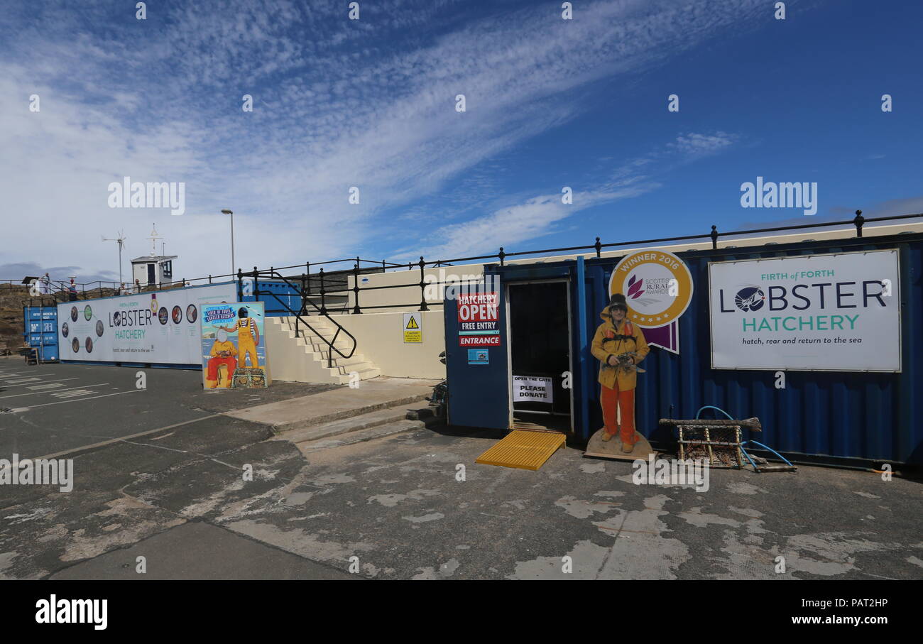 Lobster hatchery North Berwick Scotland July 2018 Stock Photo - Alamy