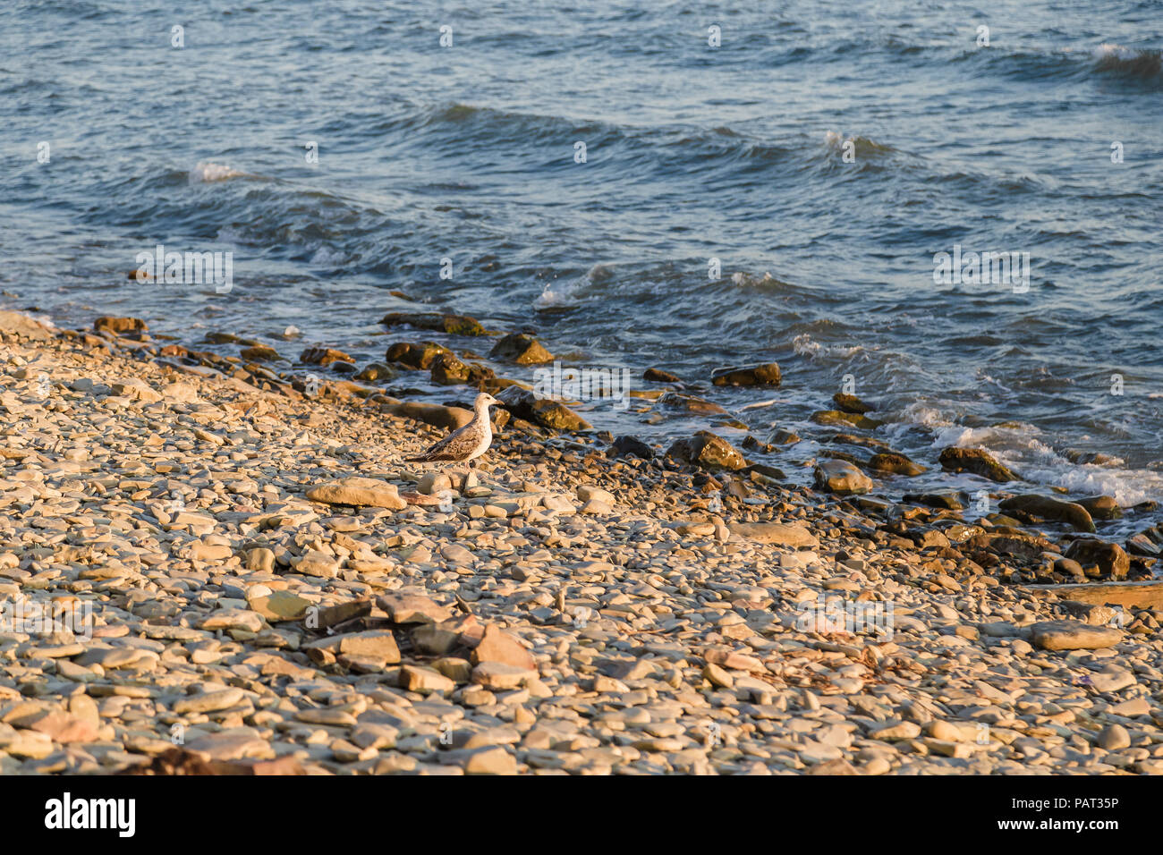 pebbles on the beach pebbles on the sea shore and waves of water ...