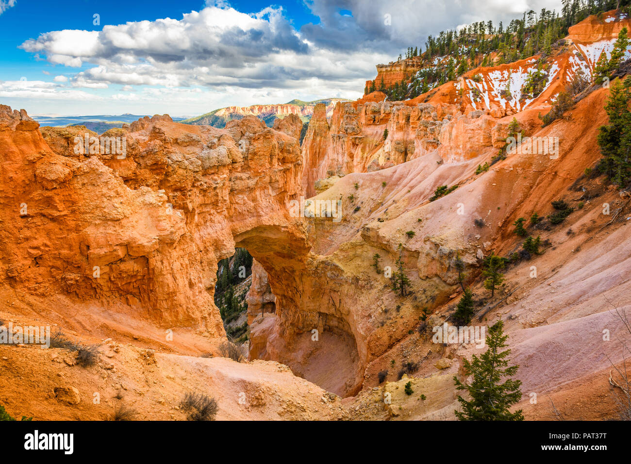 Bryce Canyon National Park, Utah, USA at the natural bridge Stock Photo ...