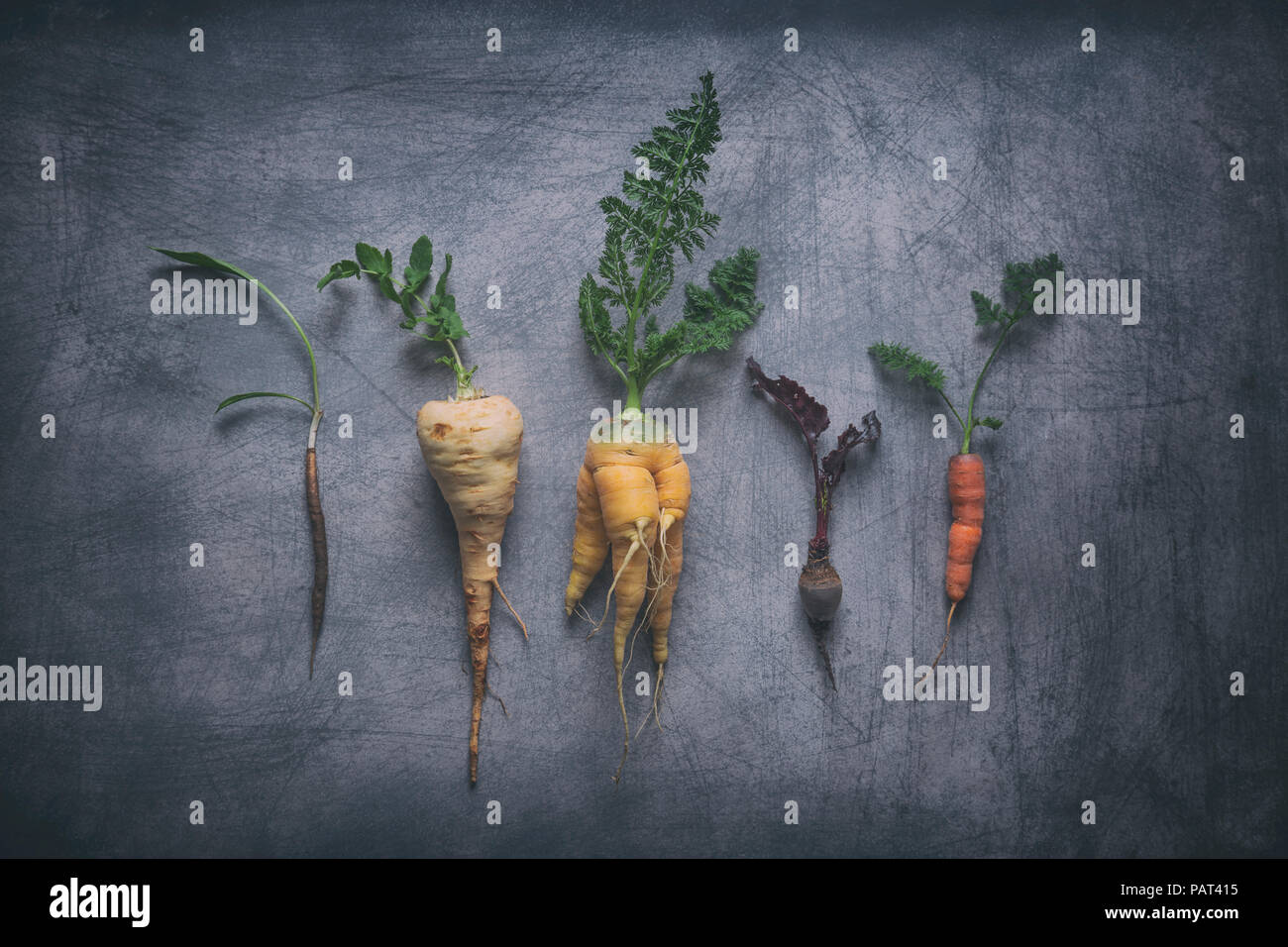 Root Vegetables Chart