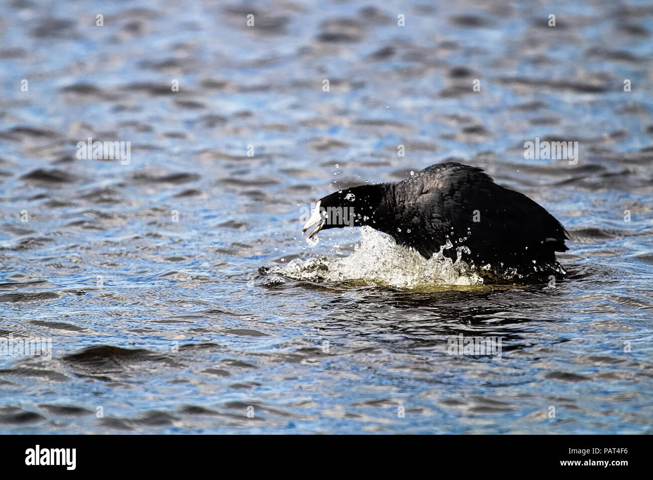 Warning display hi-res stock photography and images - Alamy