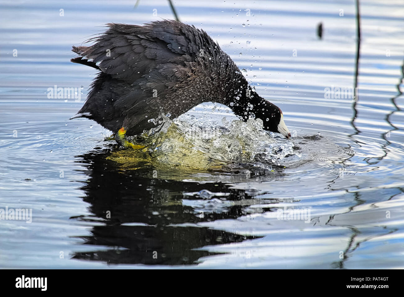 Warning display hi-res stock photography and images - Alamy