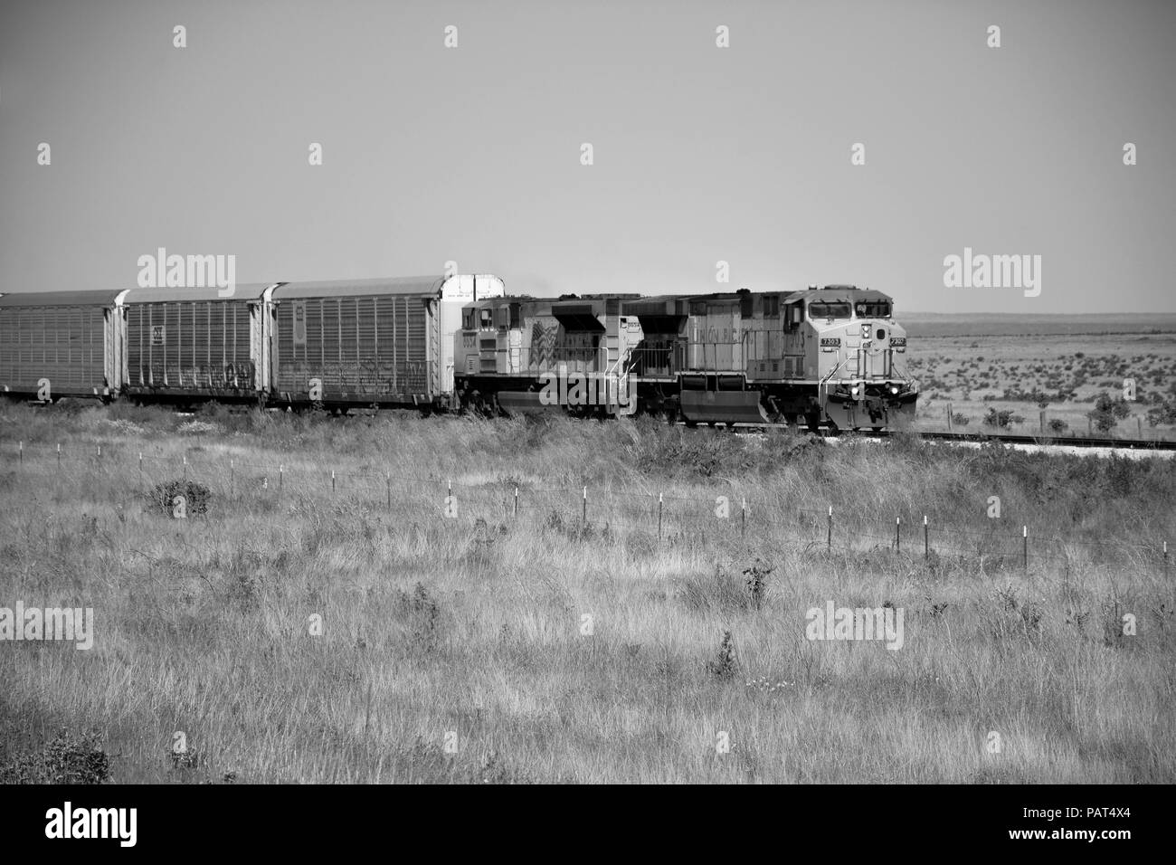 Union Pacific Locamotive pulling cattle cars with graffati across the ...