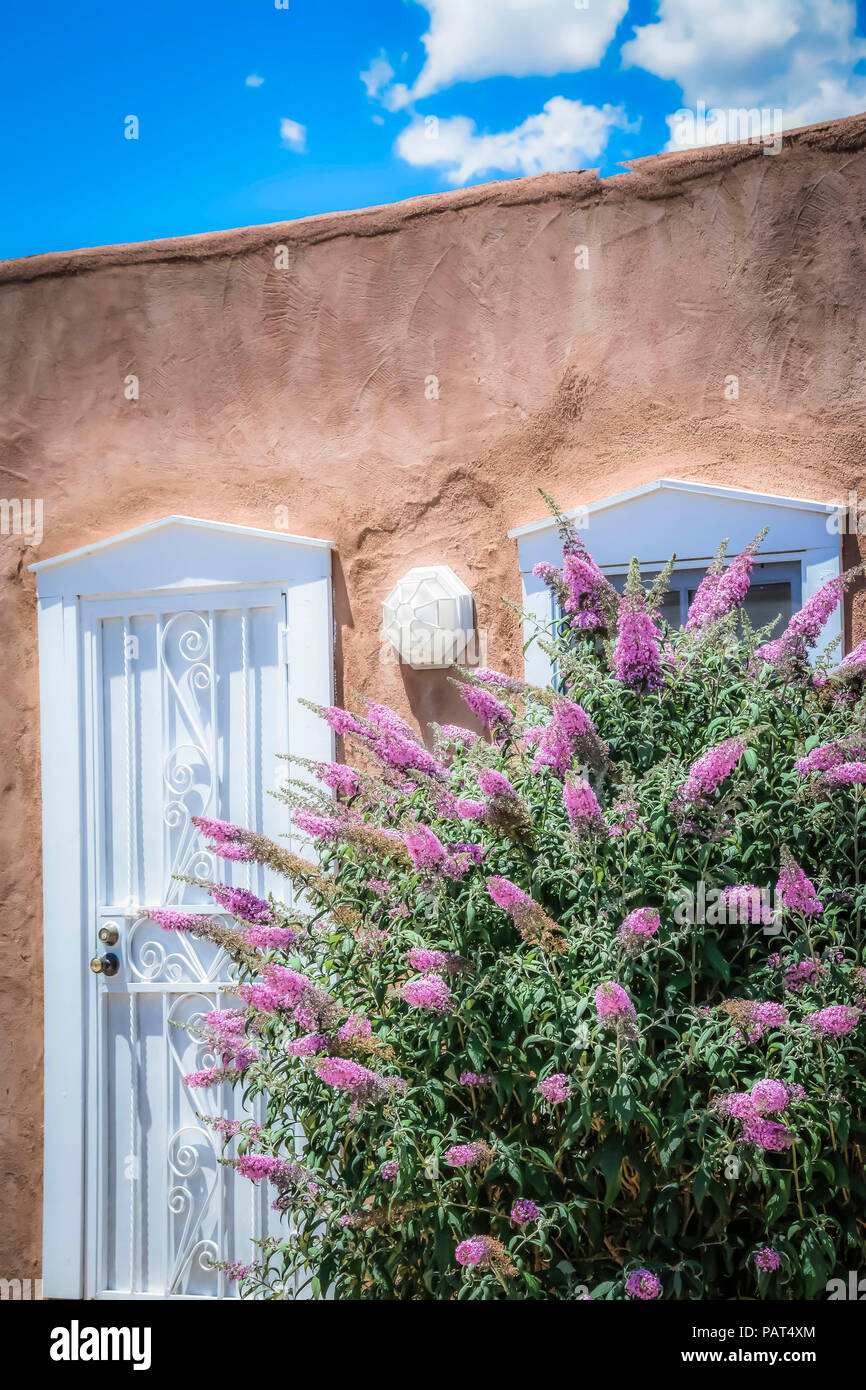 Territorial Style Door