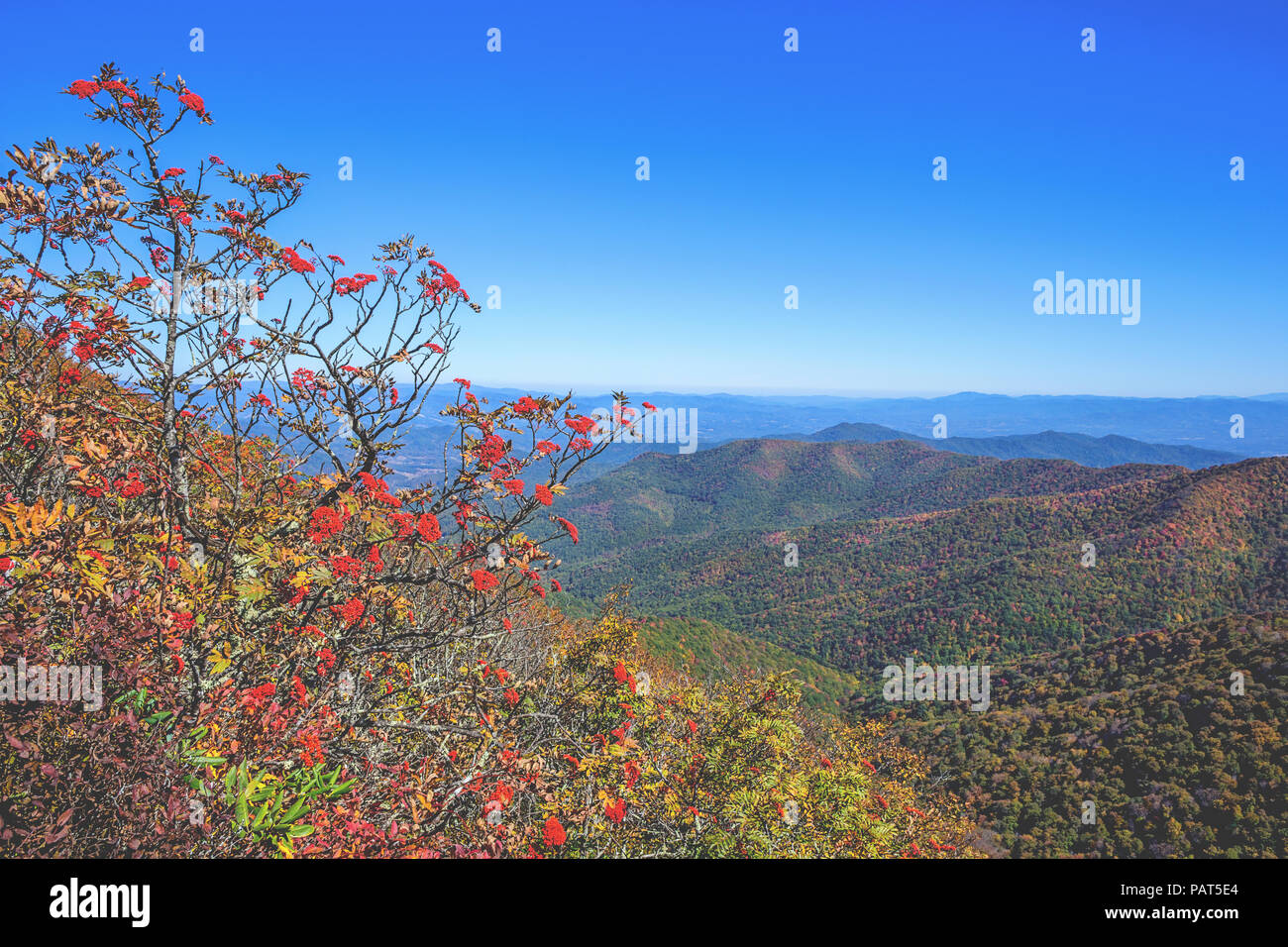 Craggy gardens hi-res stock photography and images - Alamy