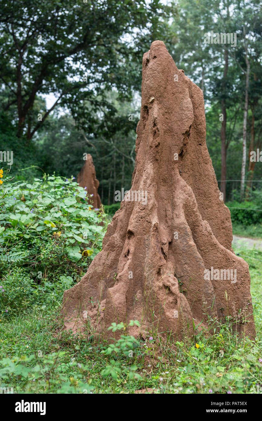 Ant hill peak hi-res stock photography and images - Alamy