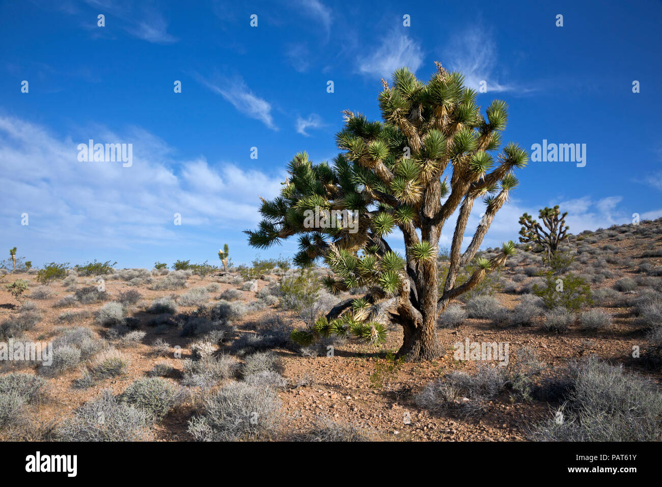 Beaver dam conservation area hi-res stock photography and images - Alamy