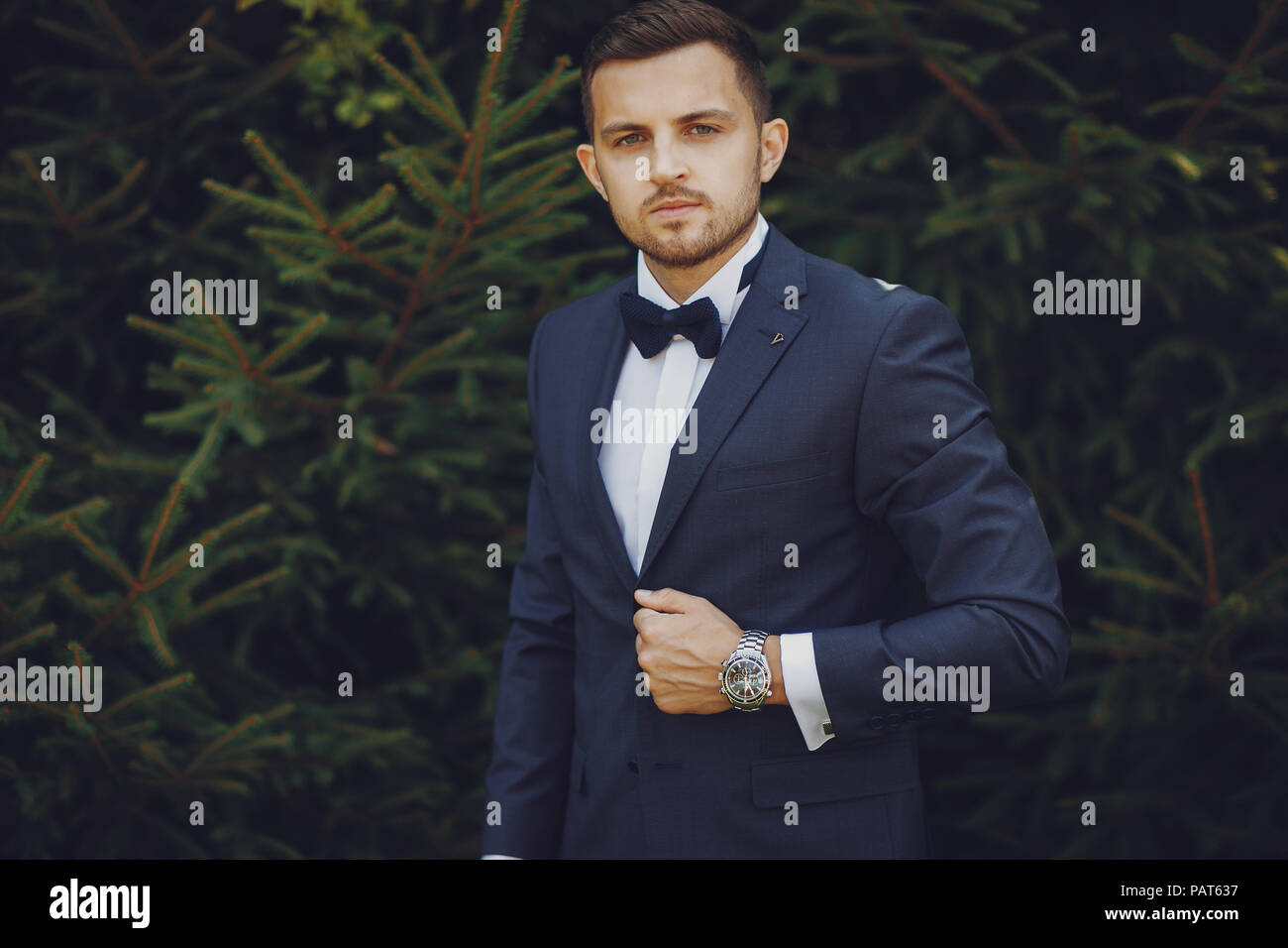 Stylish groom in blue luxury hi-res stock photography and images - Alamy