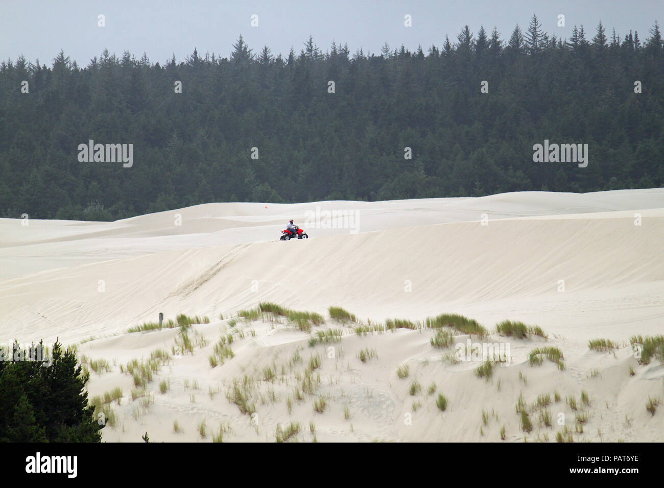 A lone ATV riding on the sand dunes Stock Photo - Alamy