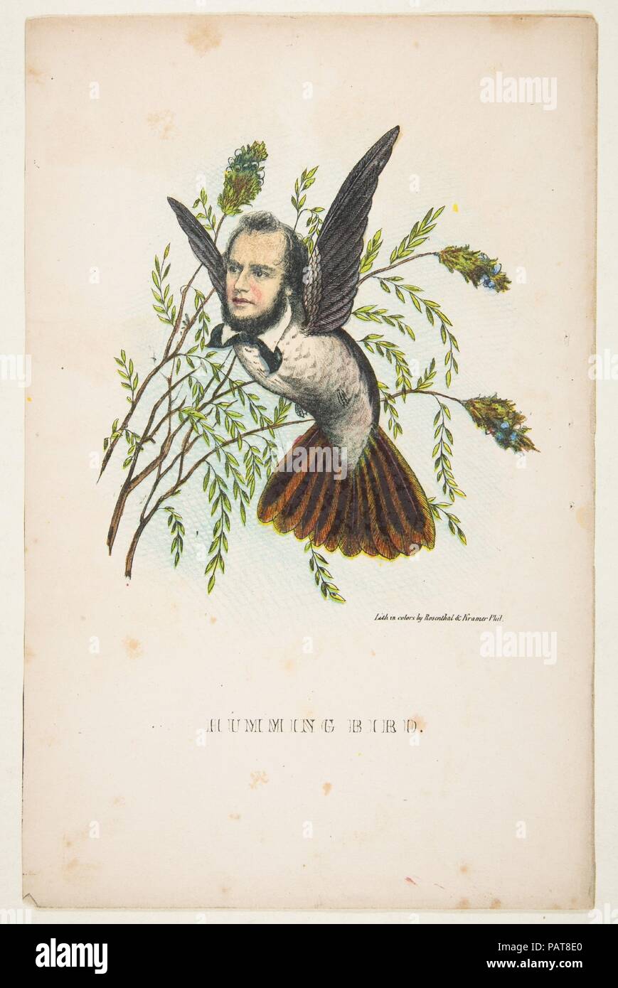 Henry bird artist hi-res stock photography and images - Alamy