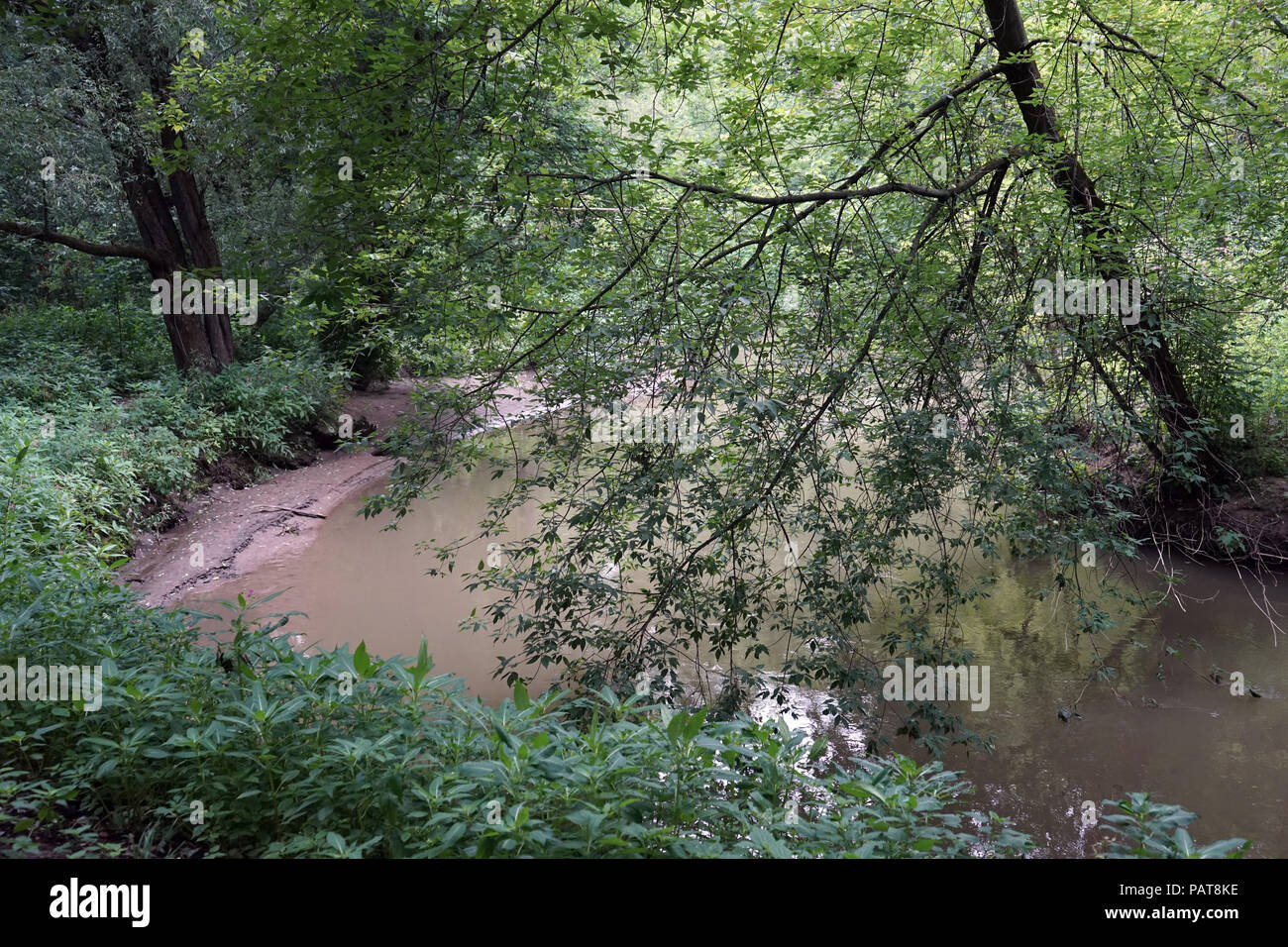 Trees and Setun river in Moscow, Russia Stock Photo - Alamy