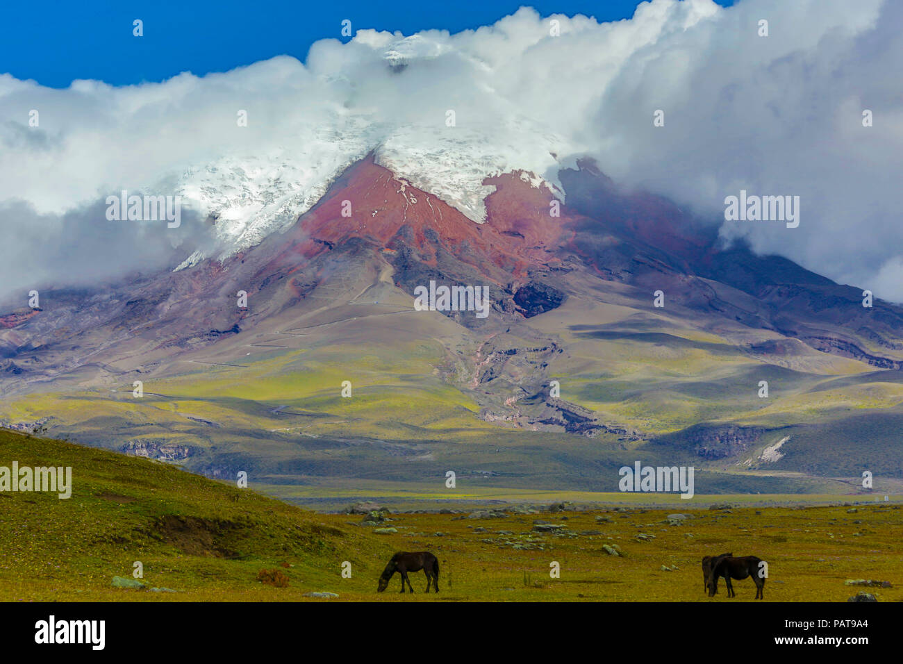Cotopaxi volcano hi-res stock photography and images - Alamy