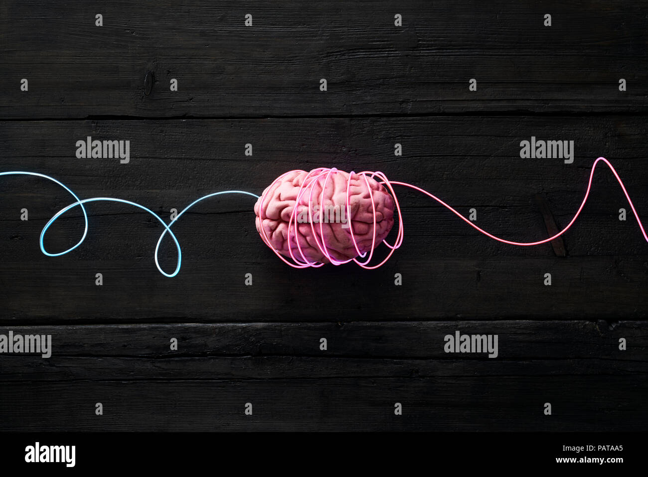 Wired brain, symbol for deep learning Stock Photo - Alamy