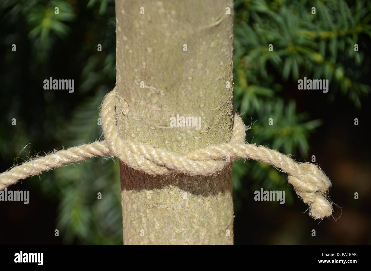 Half Rope High Resolution Stock Photography and Images - Alamy