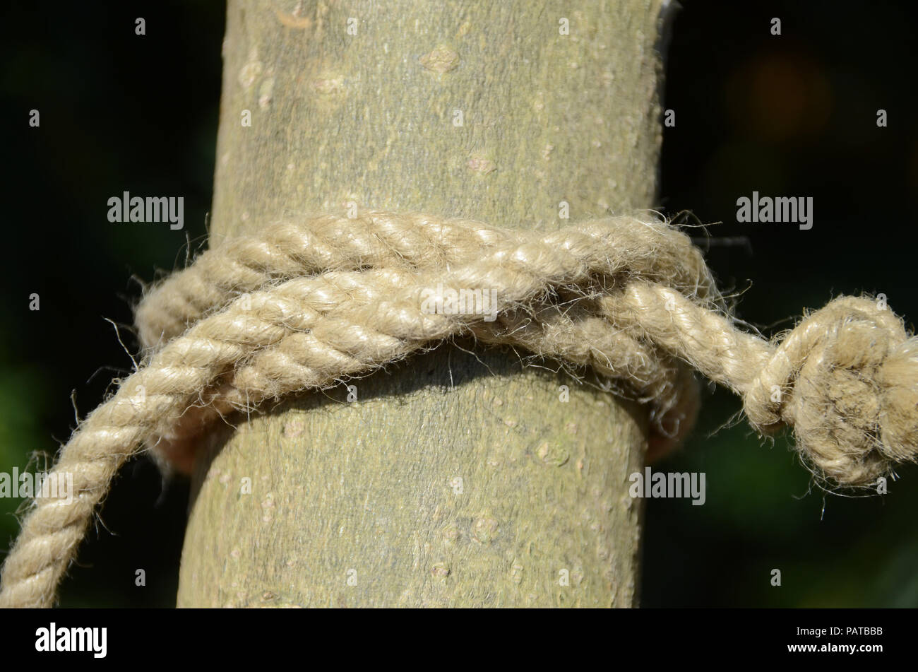 Clove hitch knot hi-res stock photography and images - Alamy