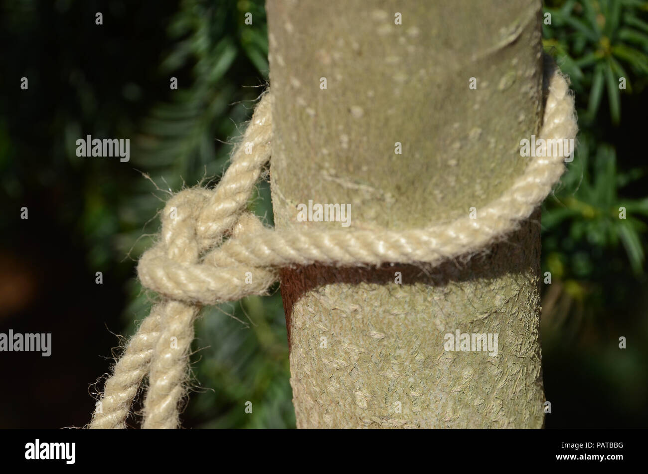 Running noose knot on a hemp rope Stock Photo - Alamy