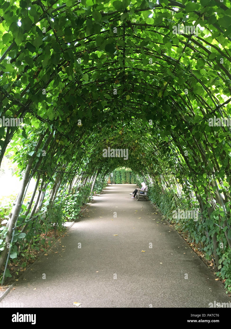 The Cradle walk at the Sunken garden, Kensington palace gardens, London ...