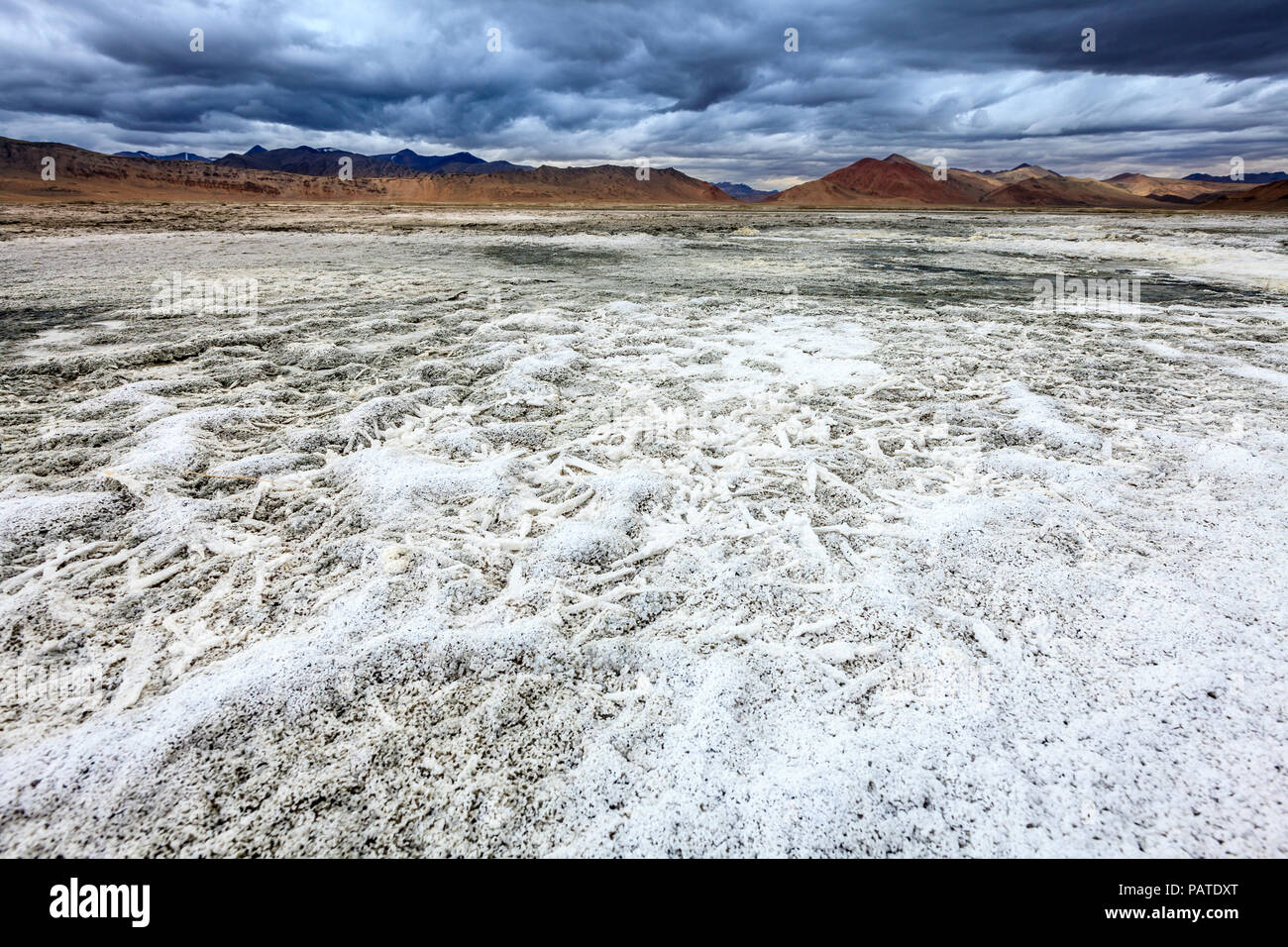 Tso Kar salt lake in the southern part of Ladakh, Kashmir, India Stock ...