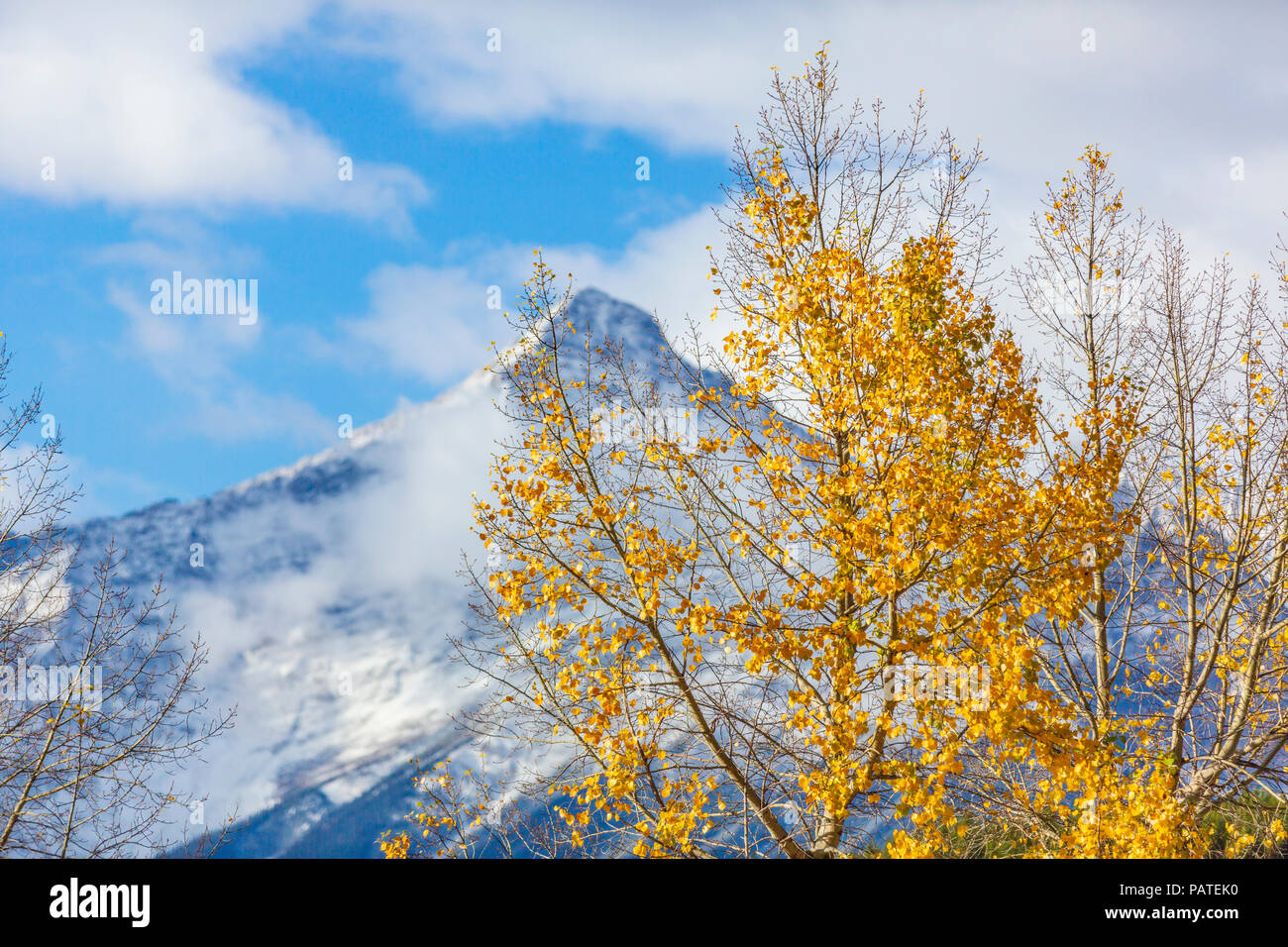 North american rocky mountains hi-res stock photography and images - Alamy
