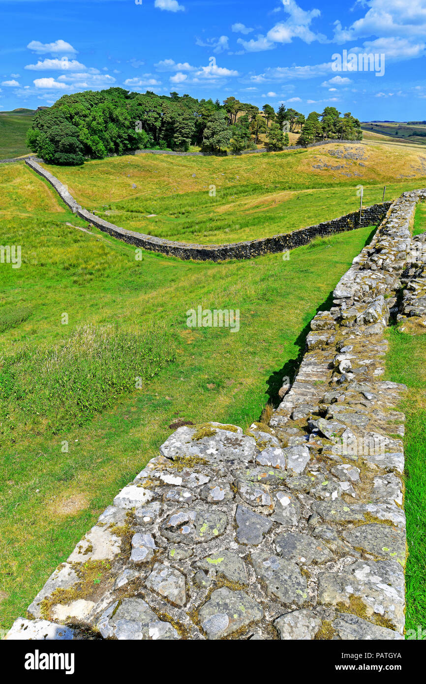 Brocolitia Roman Fort High Resolution Stock Photography and Images - Alamy