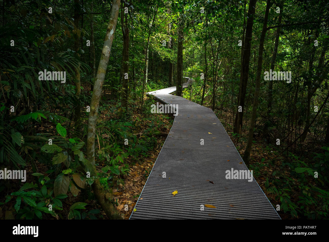 Jungle cutting hi-res stock photography and images - Alamy