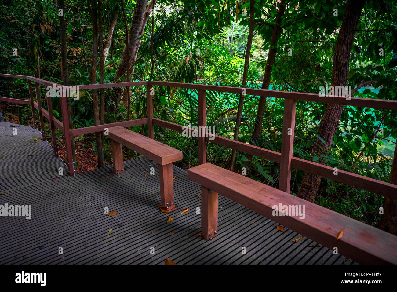 Seating along the hiking trail at Macritchie Reservoir Jungle Park ...
