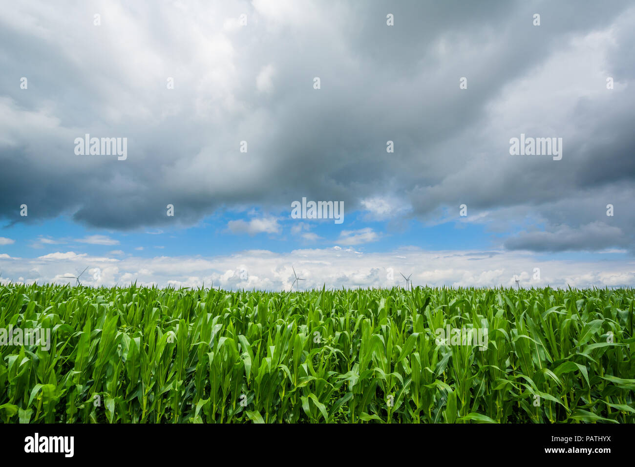 A farm field in rural Indiana Stock Photo - Alamy