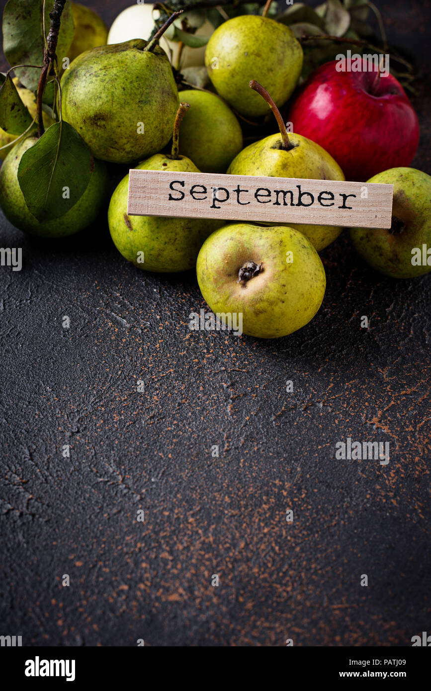 September background hi-res stock photography and images - Alamy