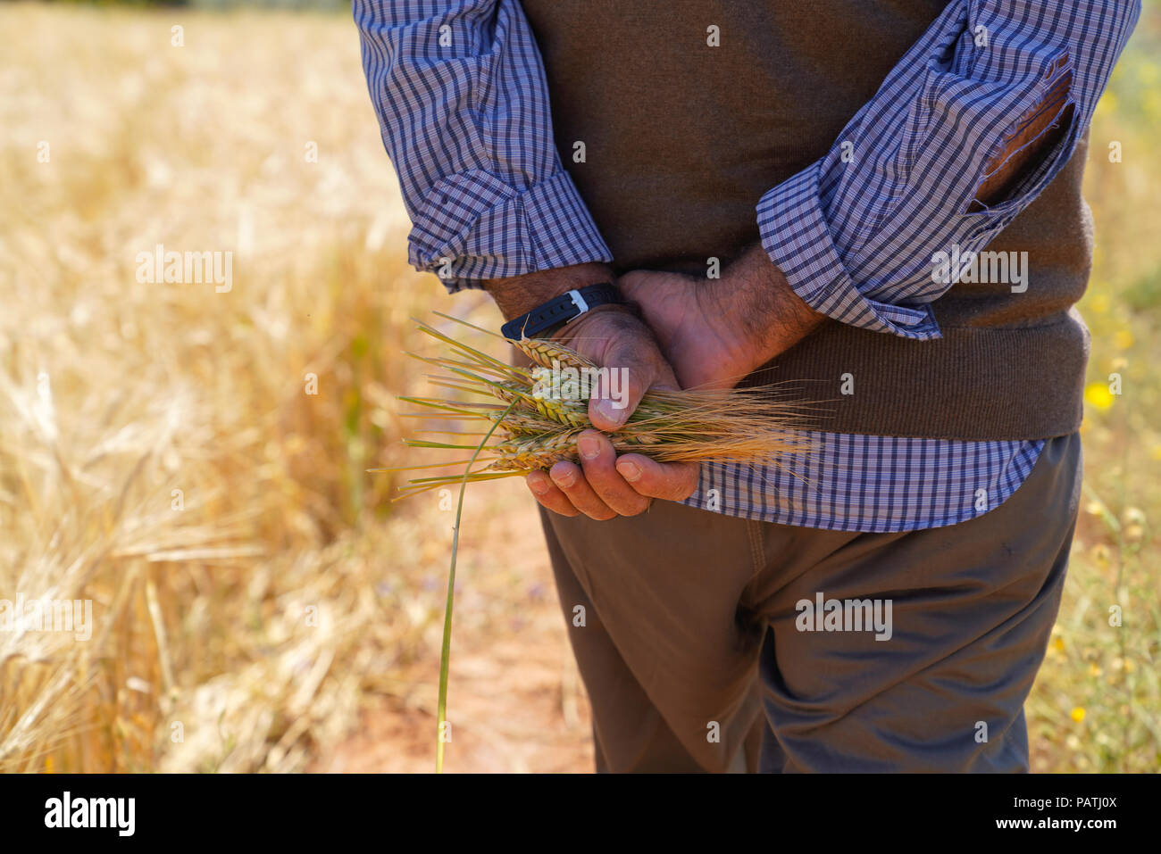 Man holding wheat hi-res stock photography and images - Alamy