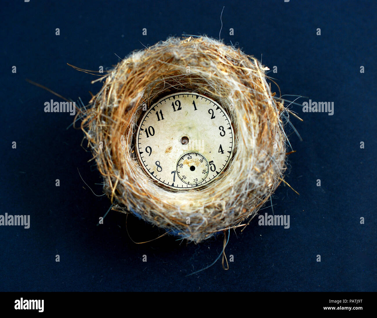 vintage rusty clock in a bird nest one black background,image of a ...
