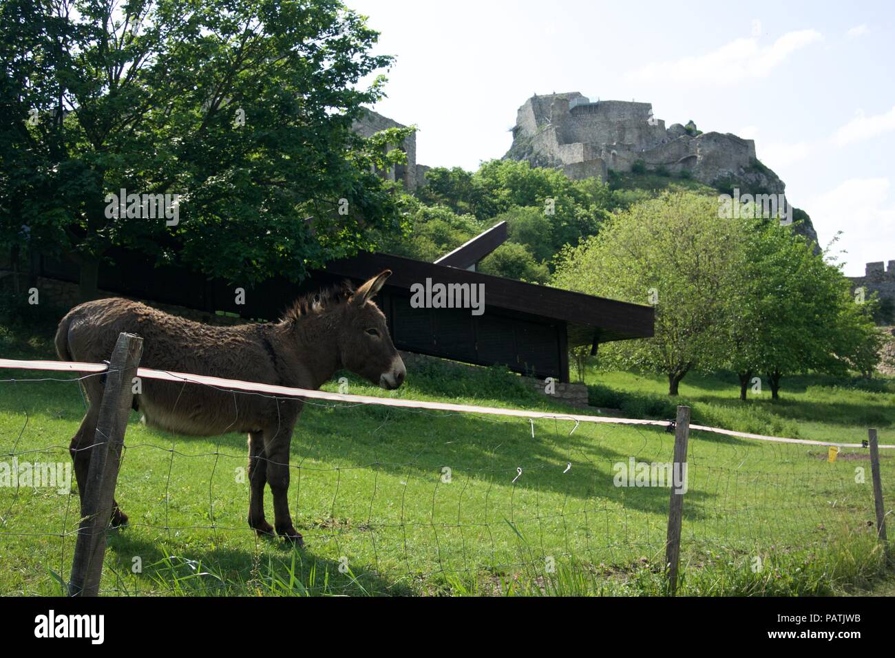 Devin Castle, Slovakia Stock Photo - Alamy