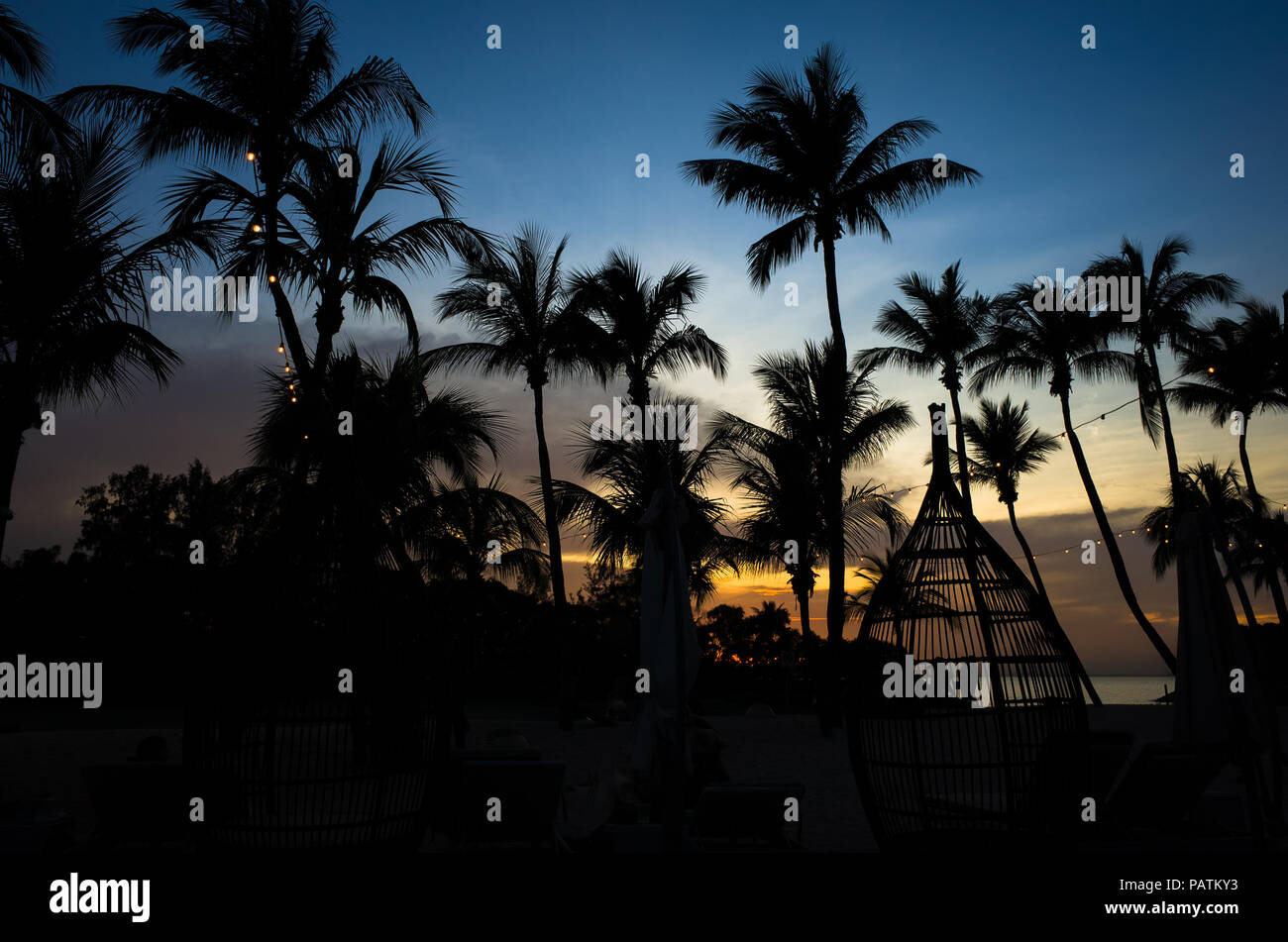 Sunset with coconut palm trees hi-res stock photography and images - Alamy